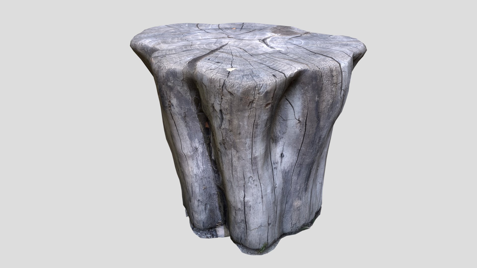 Realistic 3D Tree Trunk Model - 3D model by 3dmodelbusines2bro [1b2b9f3 ...