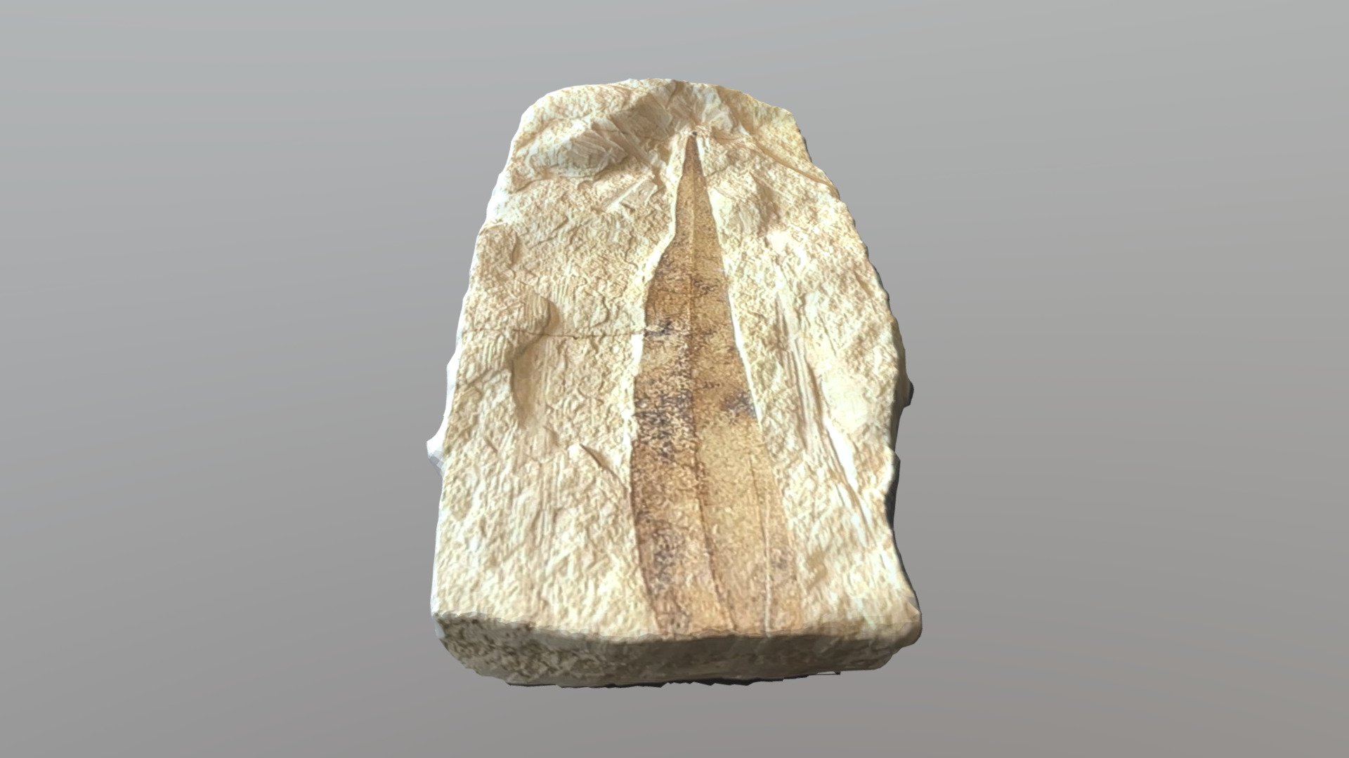 Empreinte de Feuille - Download Free 3D model by Tavernier Amaury ...