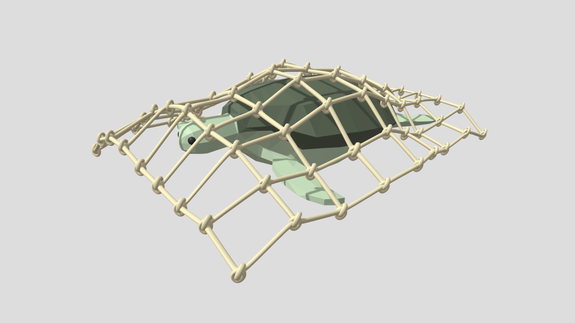 Green Sea Turtle - Net - 3D model by Cxrly97 [1b35759] - Sketchfab
