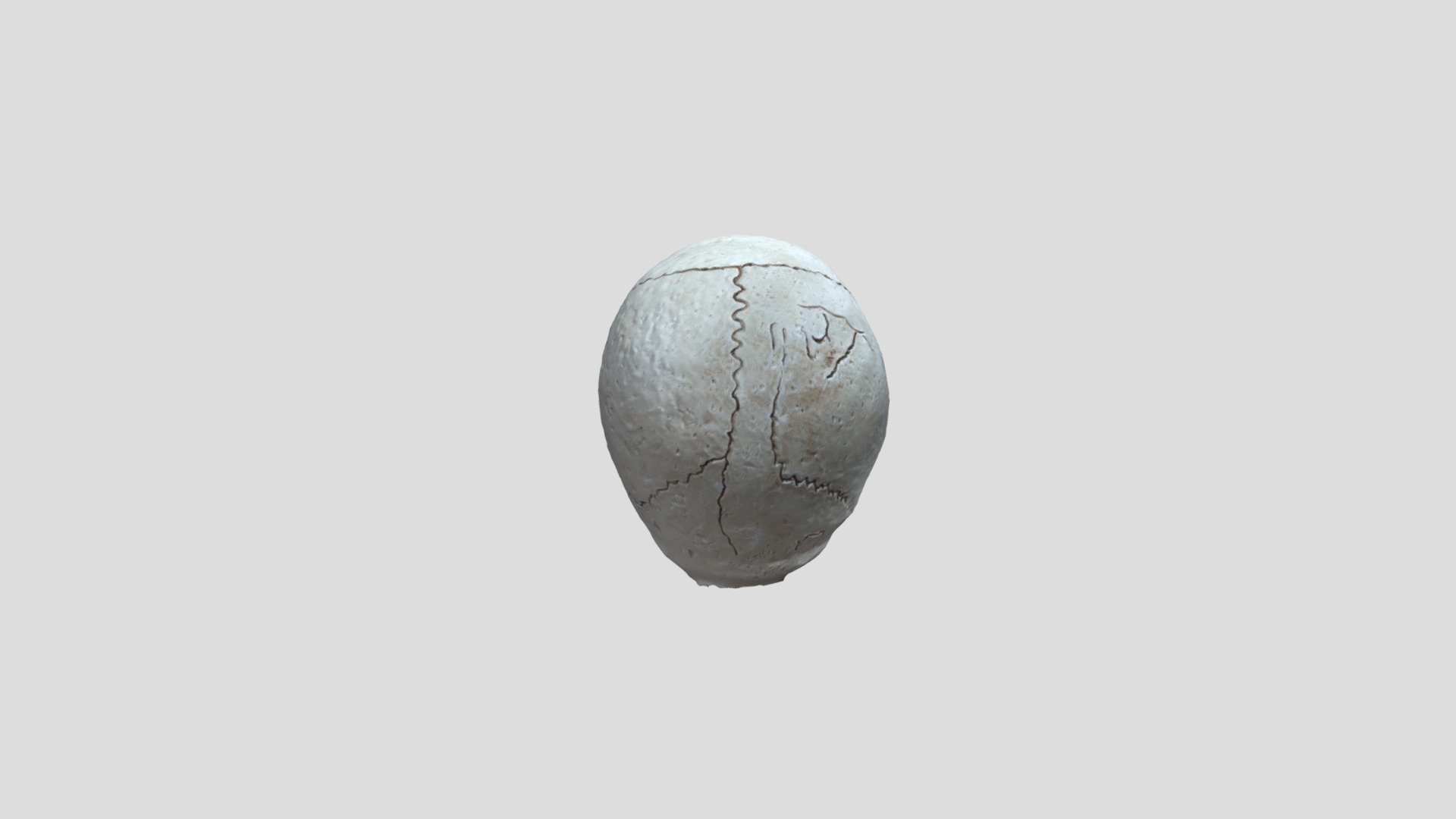 Skull 3D scan - Download Free 3D model by Csuzliboy (@balogh.agoston ...