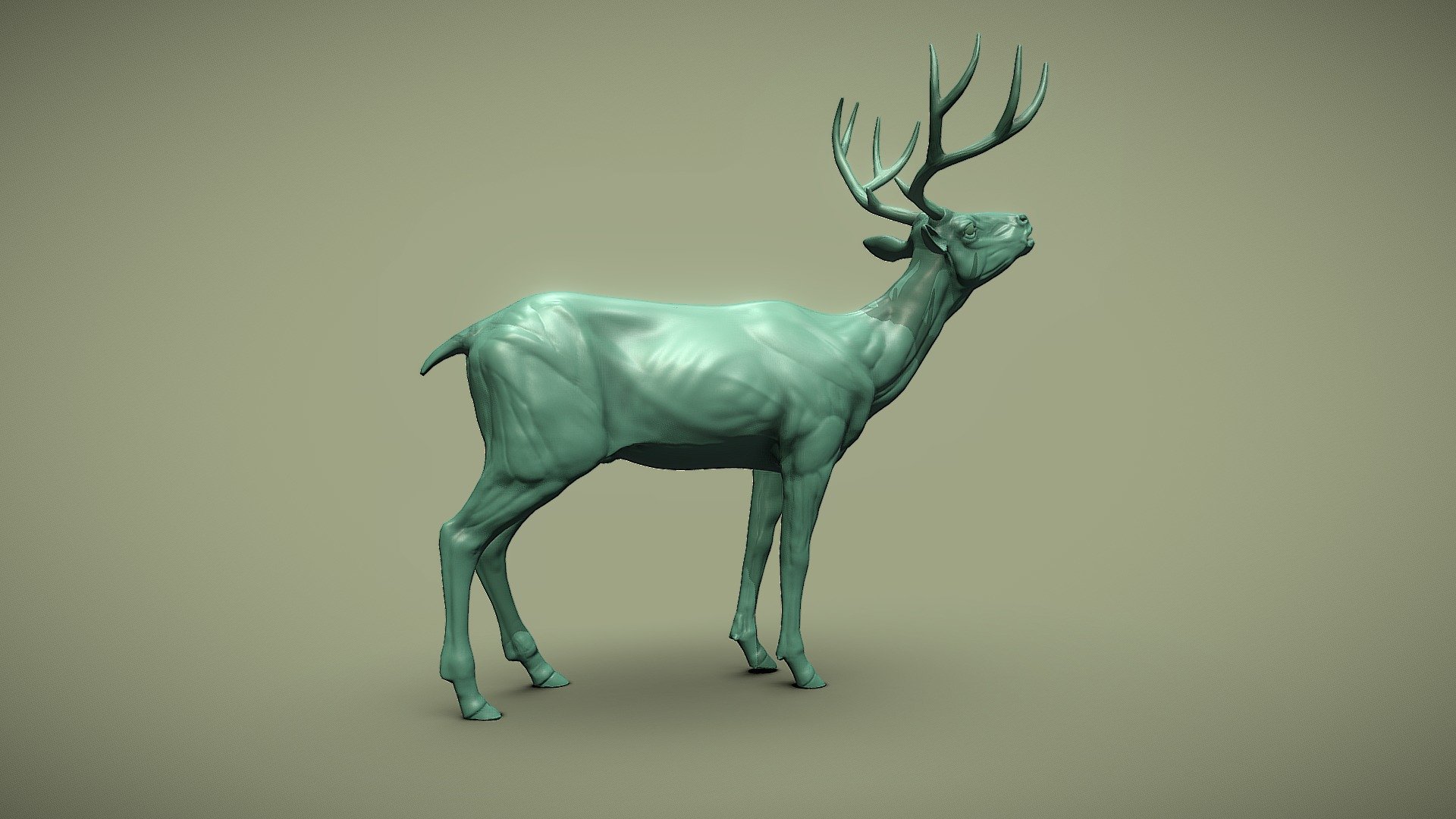 Deer - 3D model by mengutay [1b3d865] - Sketchfab