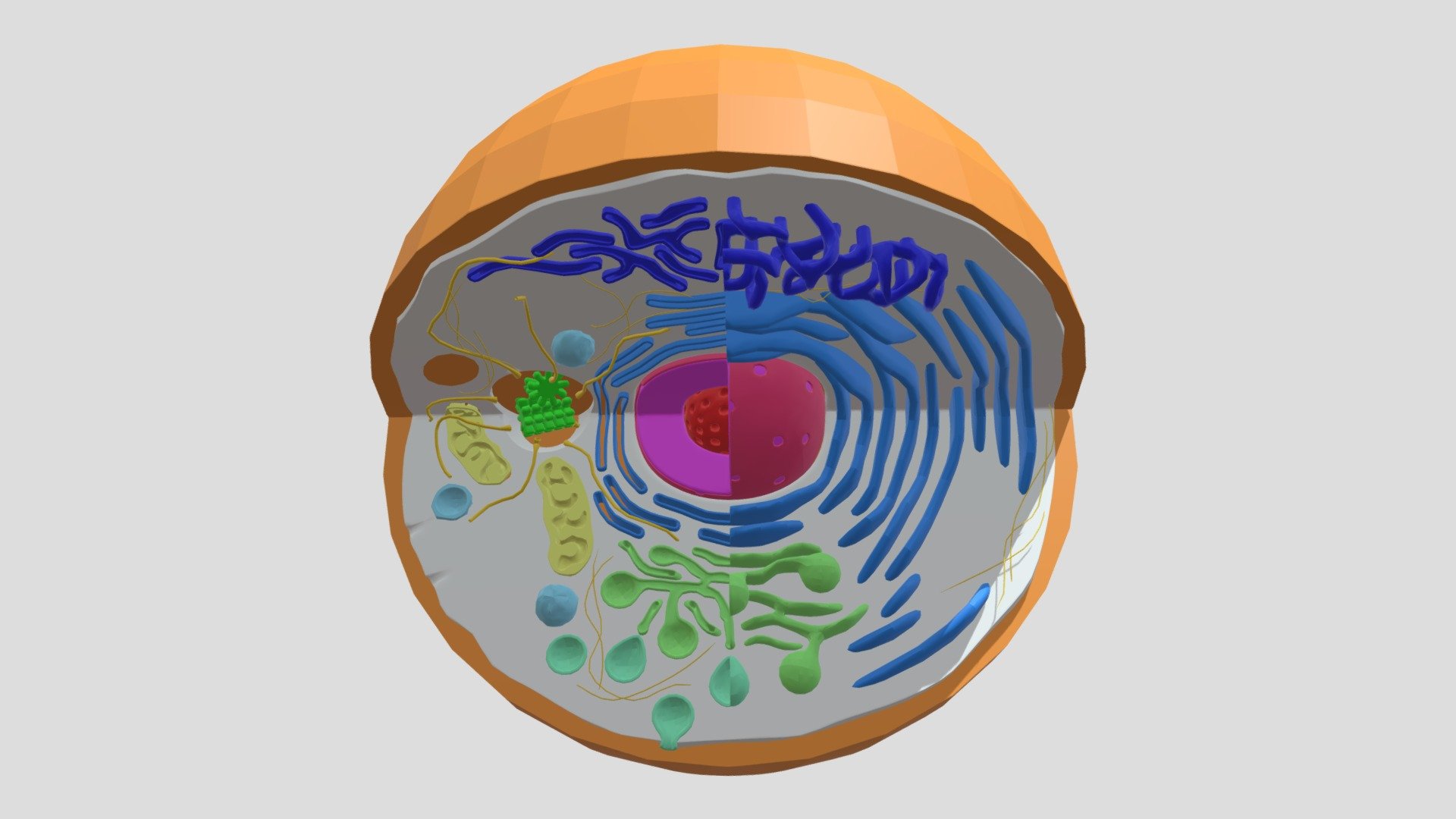 roma_poma - 3D model by zarubinroman017 [1b3e14f] - Sketchfab