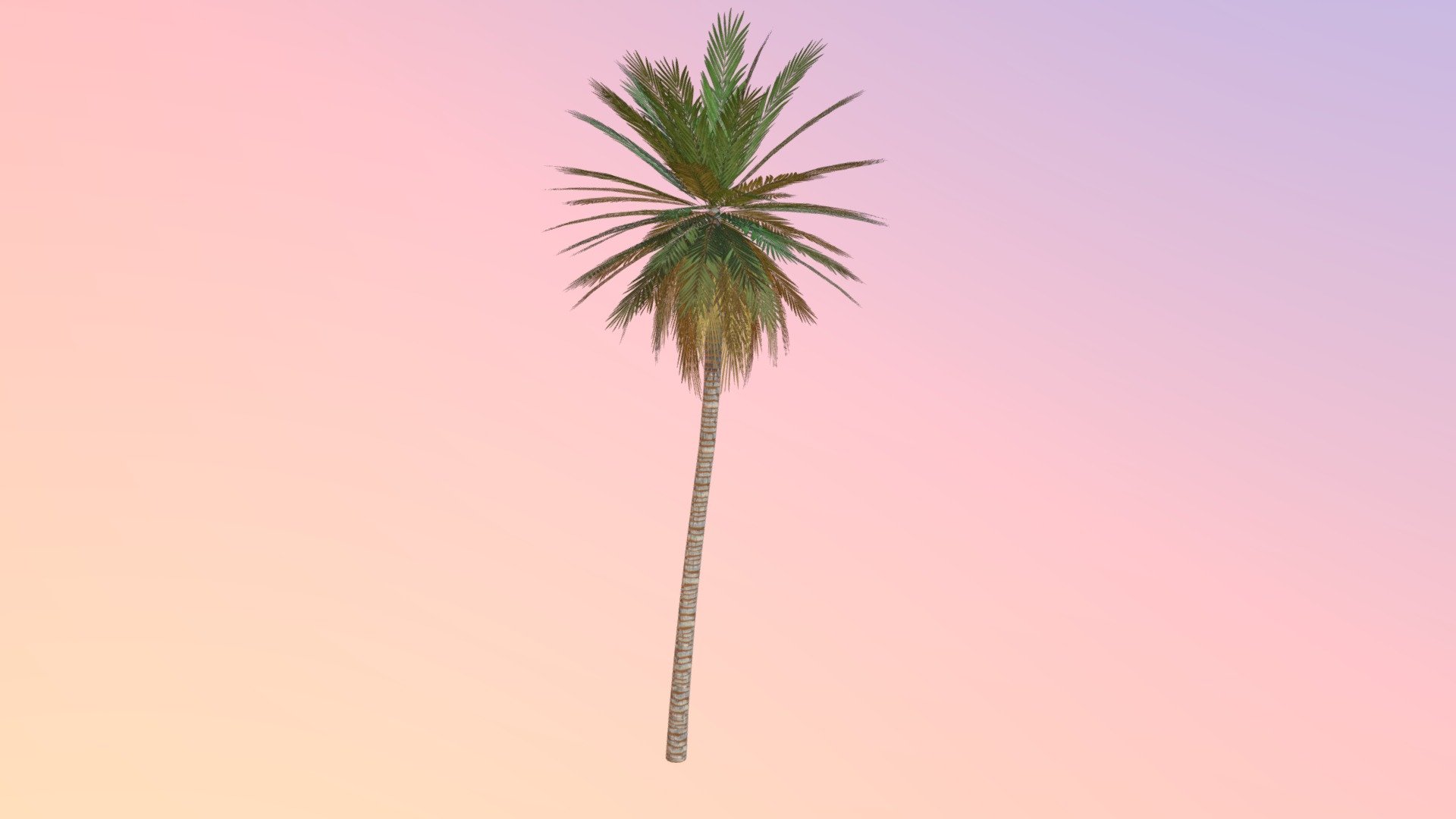 Low Poly Palm Tree - Download Free 3D model by JTMcDevitt [1b3fa8a ...