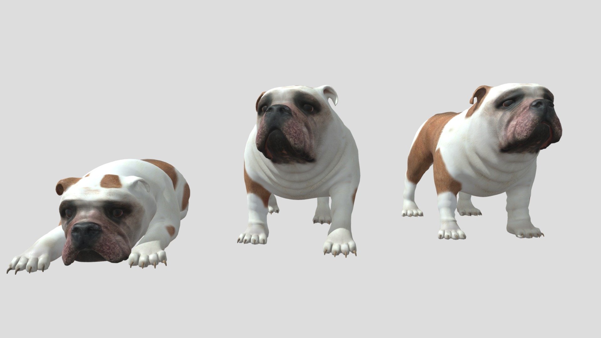 Bulldog - Download Free 3D model by leijiaoshou [1b40356] - Sketchfab