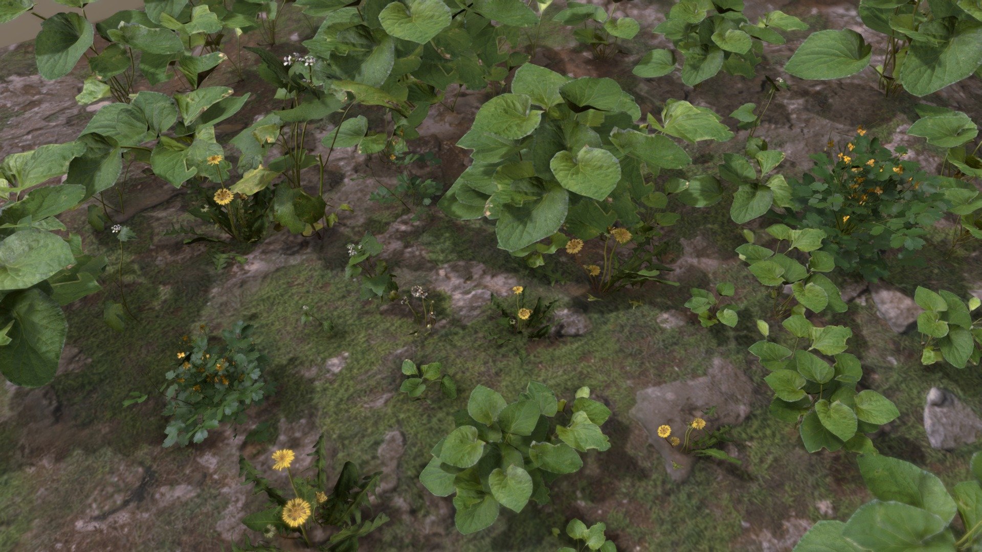 plant gardan - 3D model by neet.koladiya [1b44998] - Sketchfab