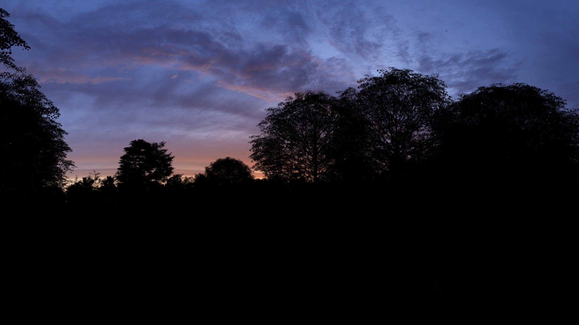 HDRI - SKY BOX 8K - FOREST SCENE IN THE NIGHT - Buy Royalty Free 3D ...