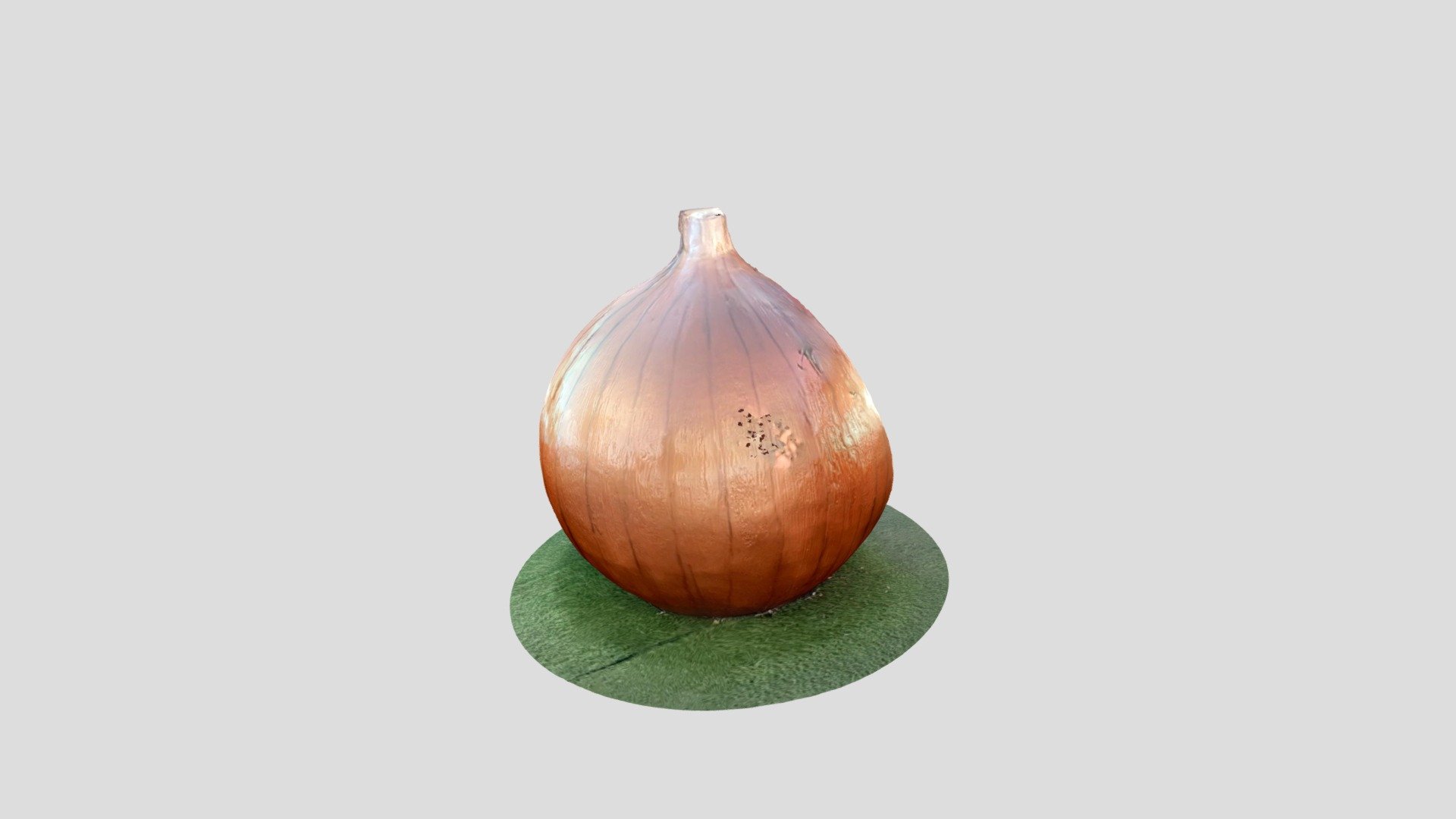 Onion - 3D model by nakahata [1b51011] - Sketchfab