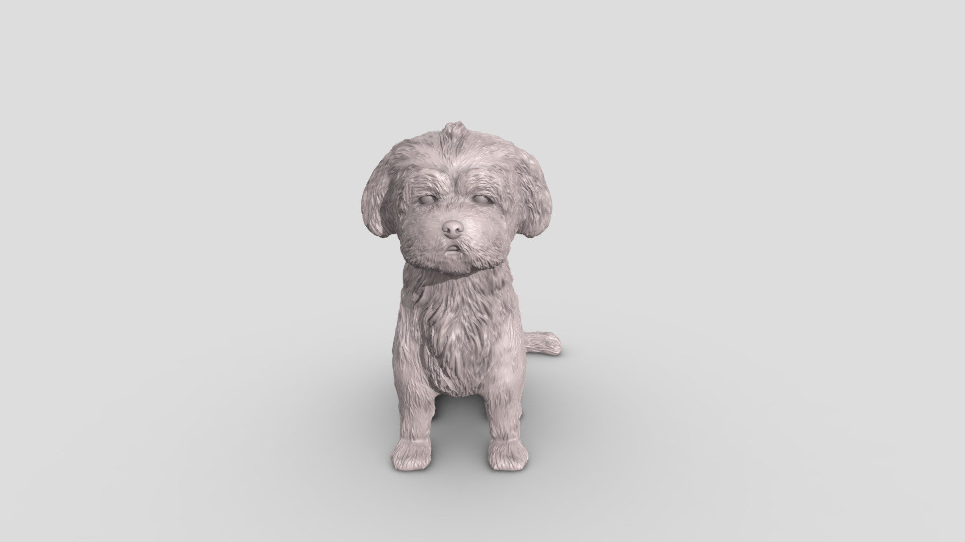 Shih Tzu 3D Figure - 3D model by nereplas [1b58fc3] - Sketchfab