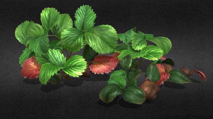 Strawberry 3D models - Sketchfab