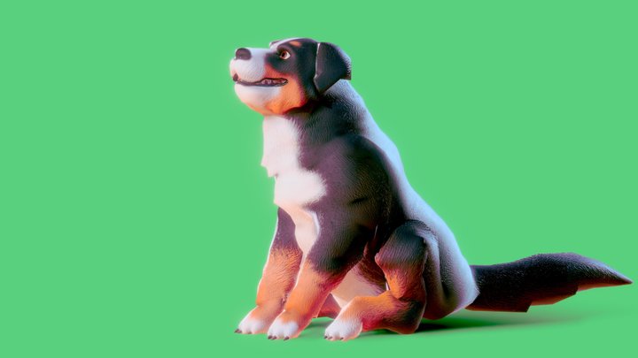 Doge 3D models - Sketchfab