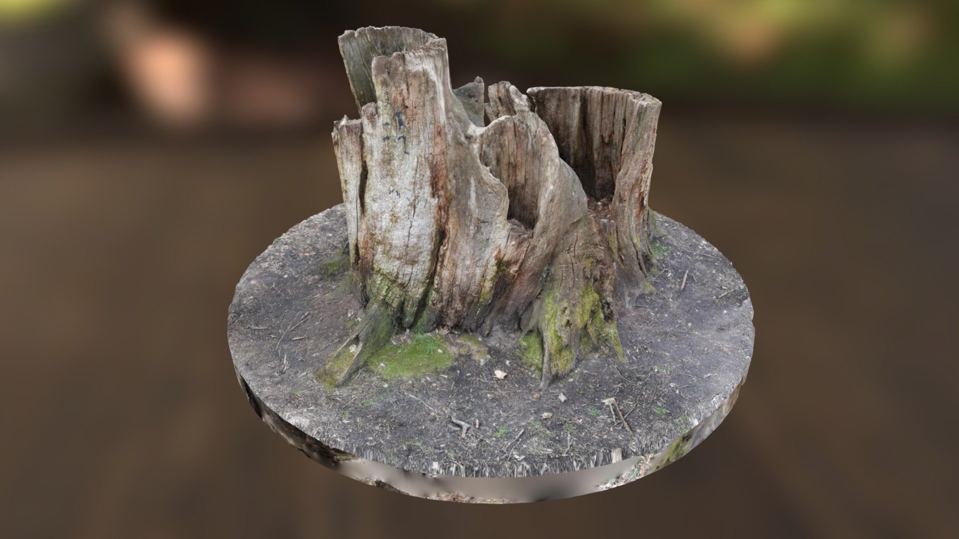 Souche Franchard - 3D model by H3RITAGE3D [1b811fe] - Sketchfab