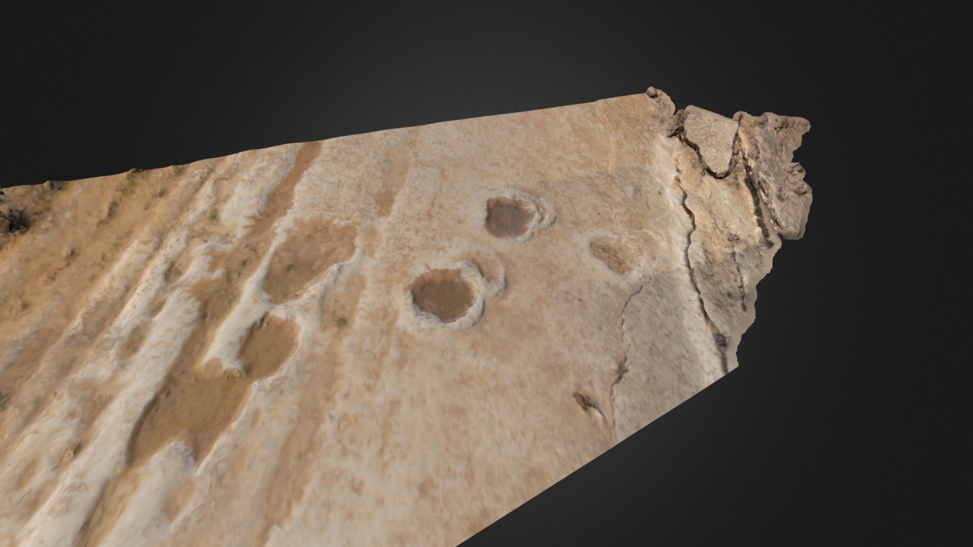 Sauropod Tracks - 3D model by walkstx [1b82be2] - Sketchfab