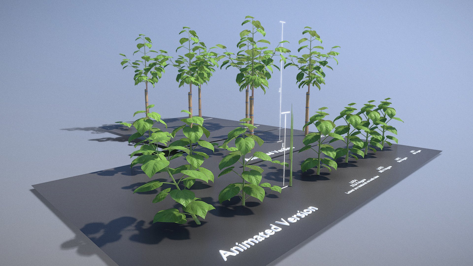Empress-Tree (5 meter update) - Buy Royalty Free 3D model by VIS-All-3D (@VIS-All) [1b83404 ...