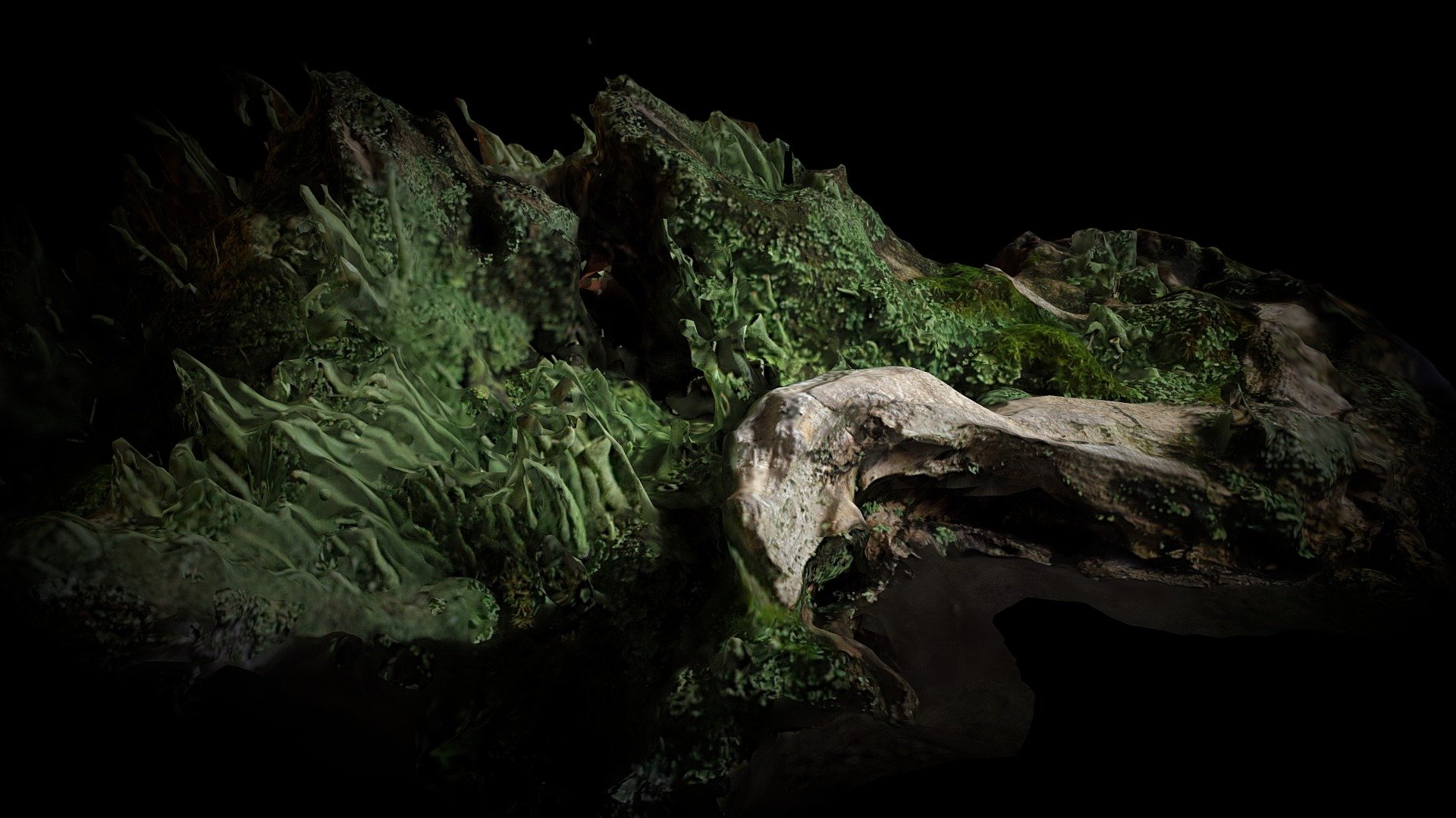 Lichen - Download Free 3D model by Shportun (@oblpressa) [1b87225 ...