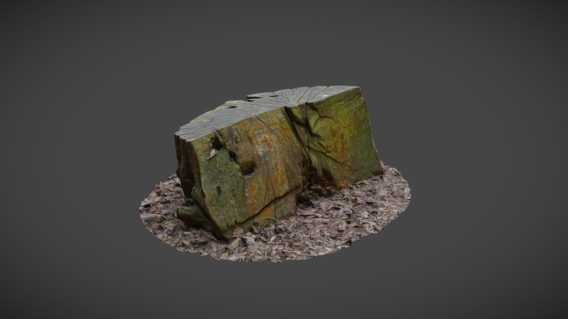 Stump_1 - 3D model by jules lemer (@juleslemer) [1b8f231] - Sketchfab