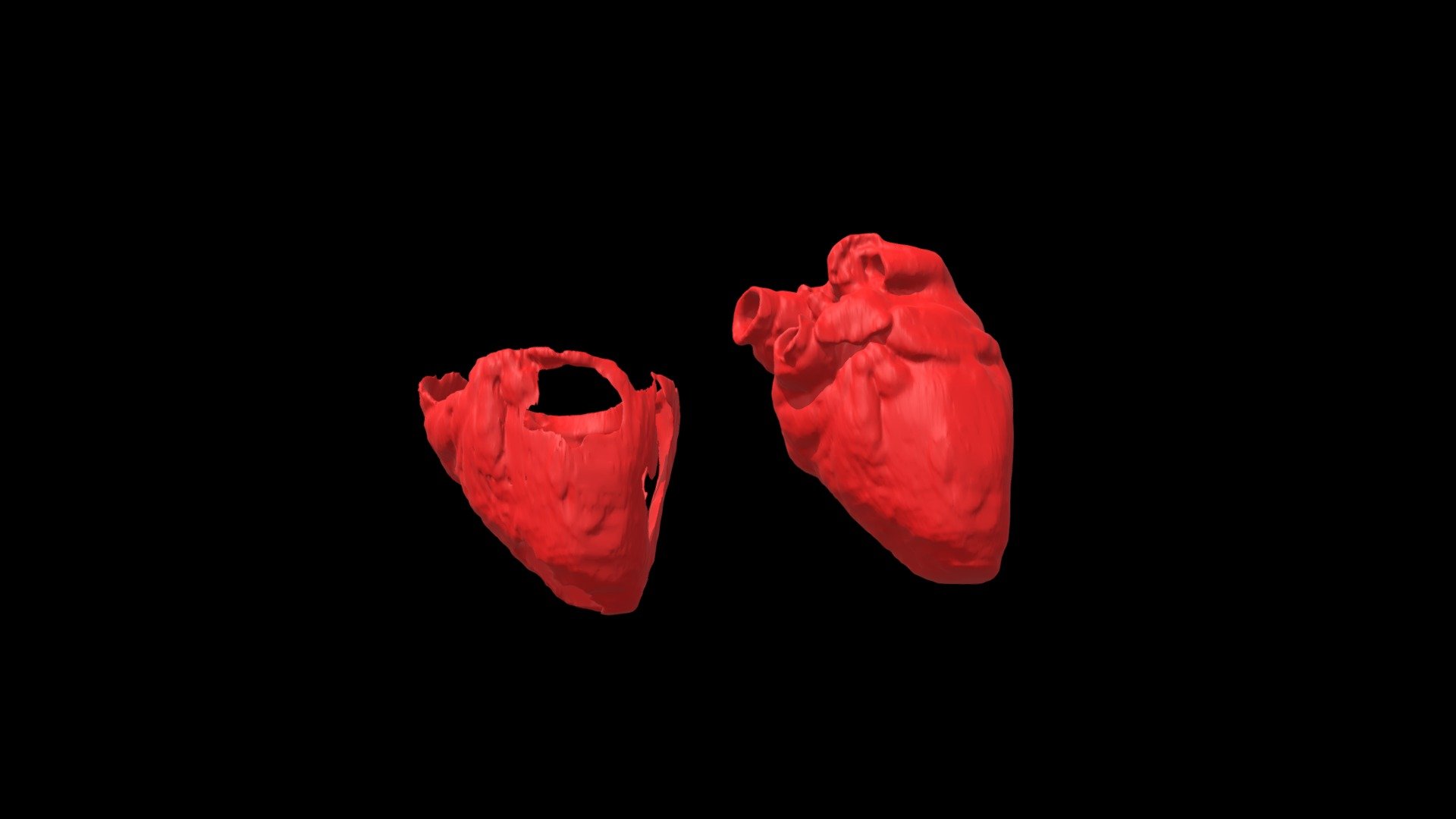 Adipose Tissue Model- Heart0147 - Download Free 3D model by ...