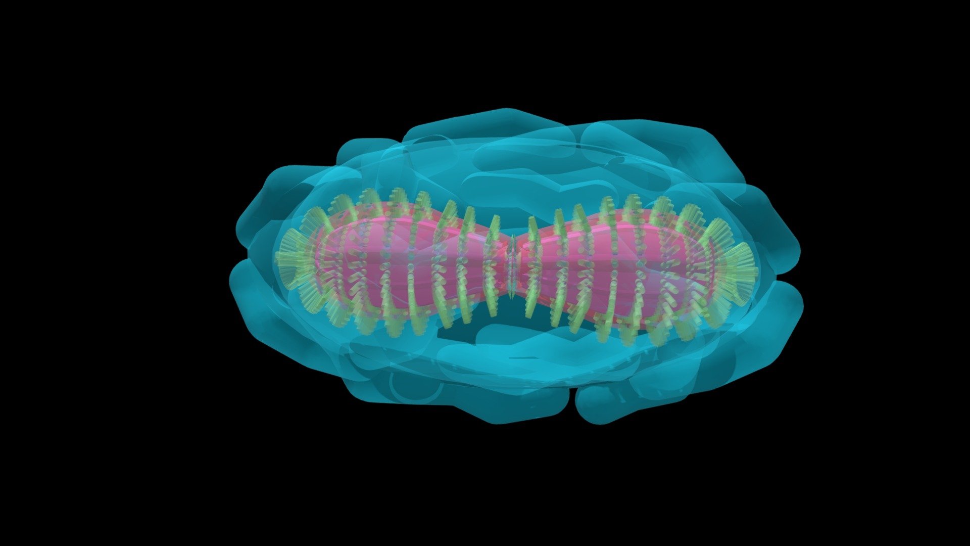 Smallpox Virus - Download Free 3D model by Liam, Jack, Chris, and Eli ...