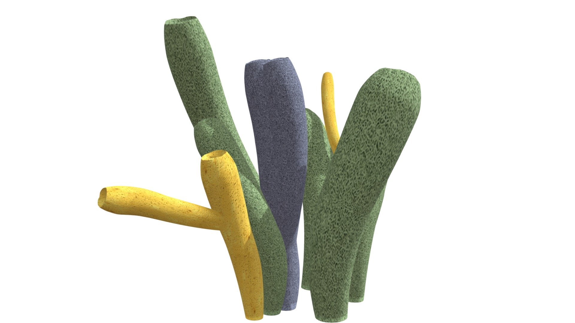 Tube Sponge #04 - Buy Royalty Free 3D model by meshshape [1b9aaa1 ...