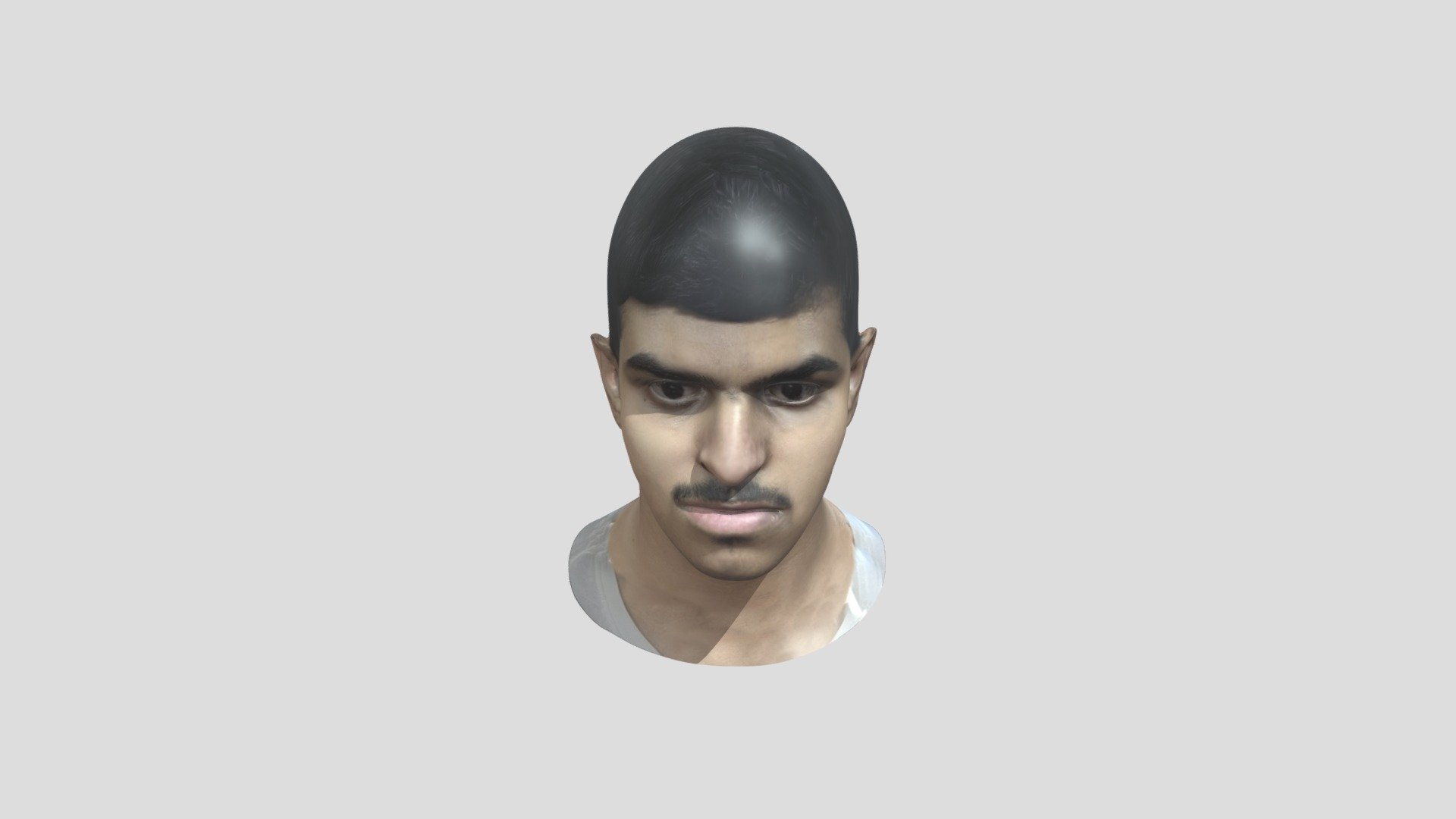 Activity 1 - Head model - Download Free 3D model by Ammar Alghamdi ...