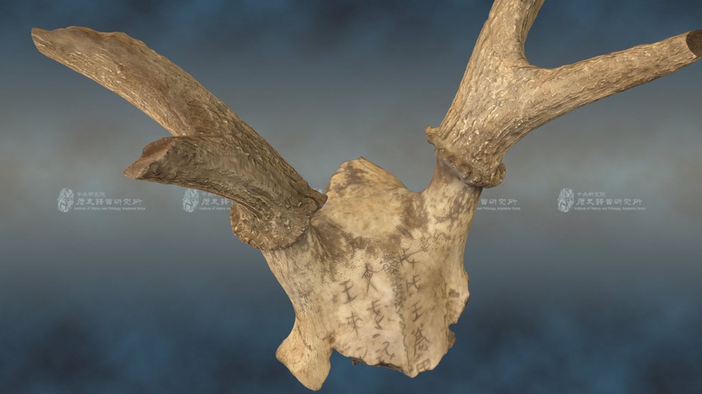 ARC200 Oracle Bones - A 3D model collection by danderson4 - Sketchfab