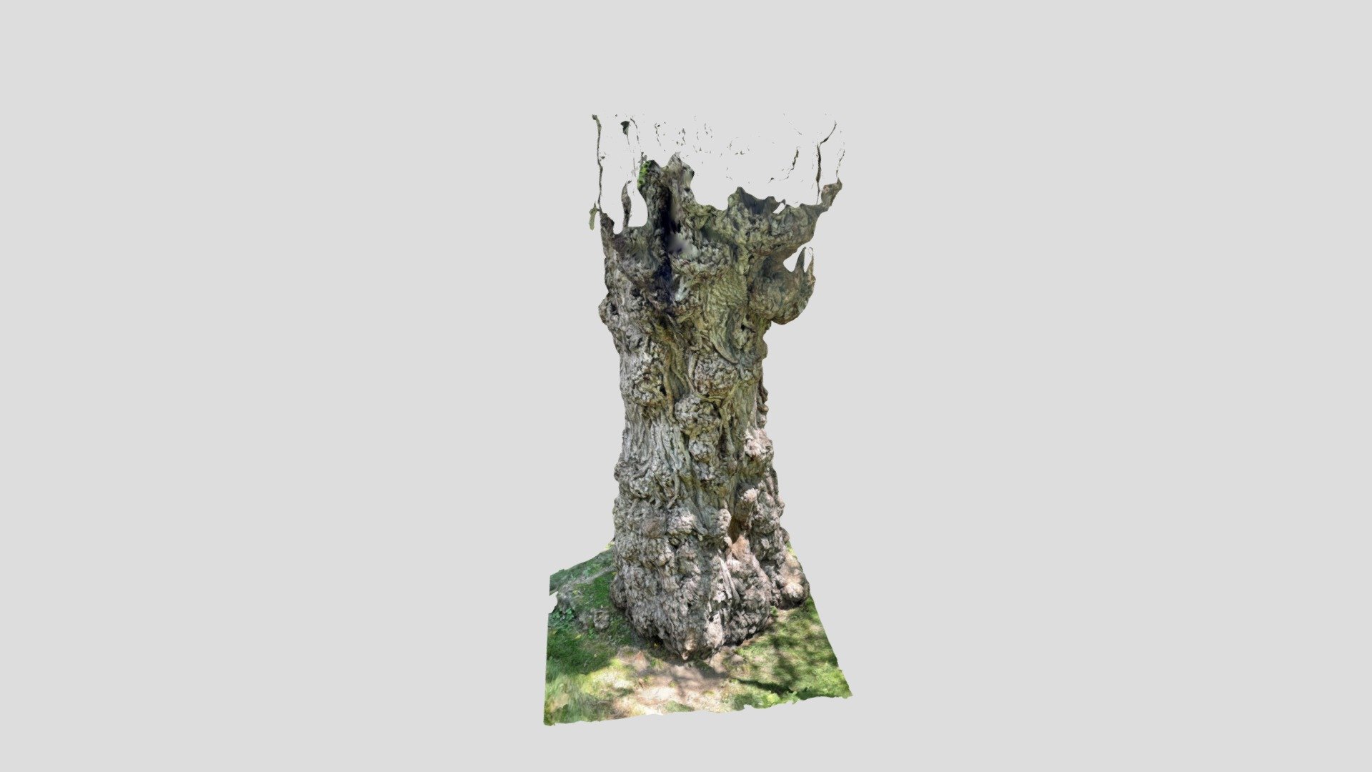 Shakespeare Tree - Download Free 3D model by LightController [1bac647 ...