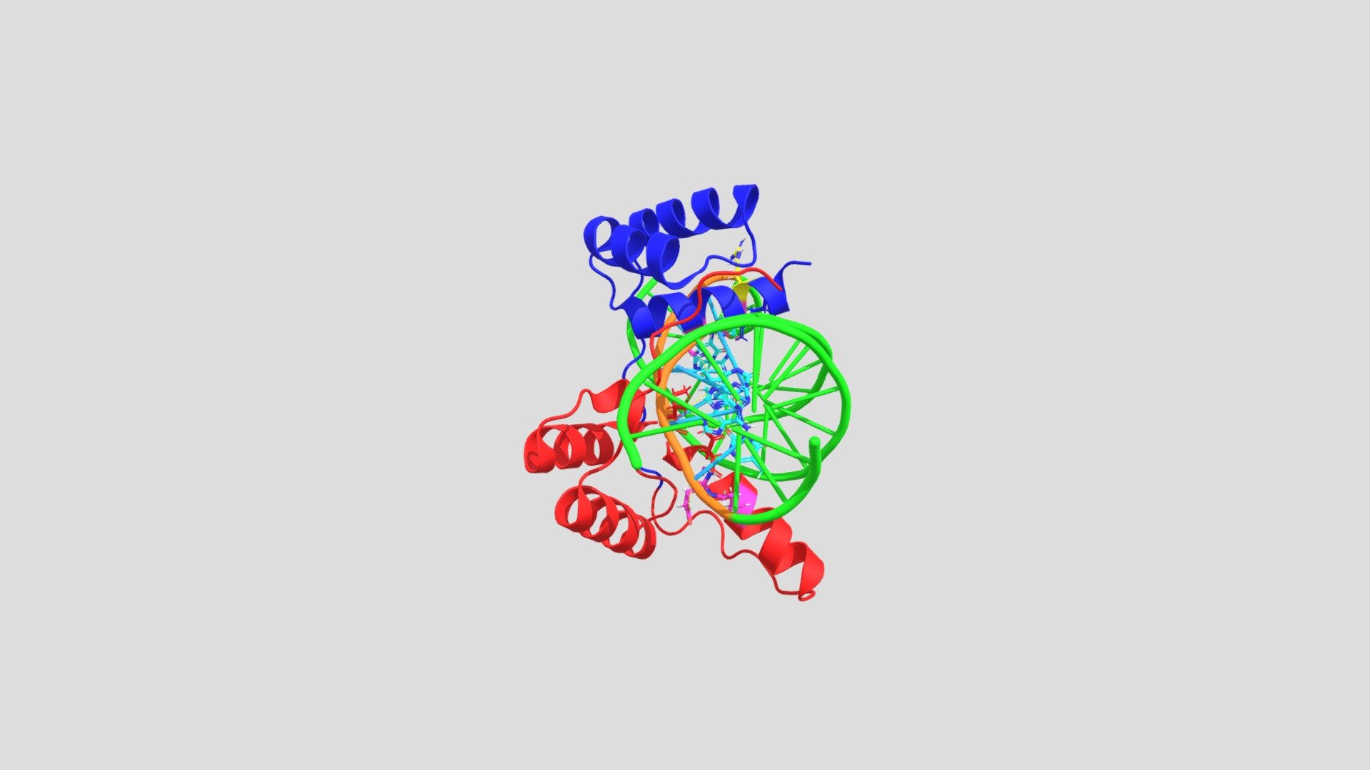 DUX4 double homeodomains in complex with DNA - 3D model by chua2433 ...