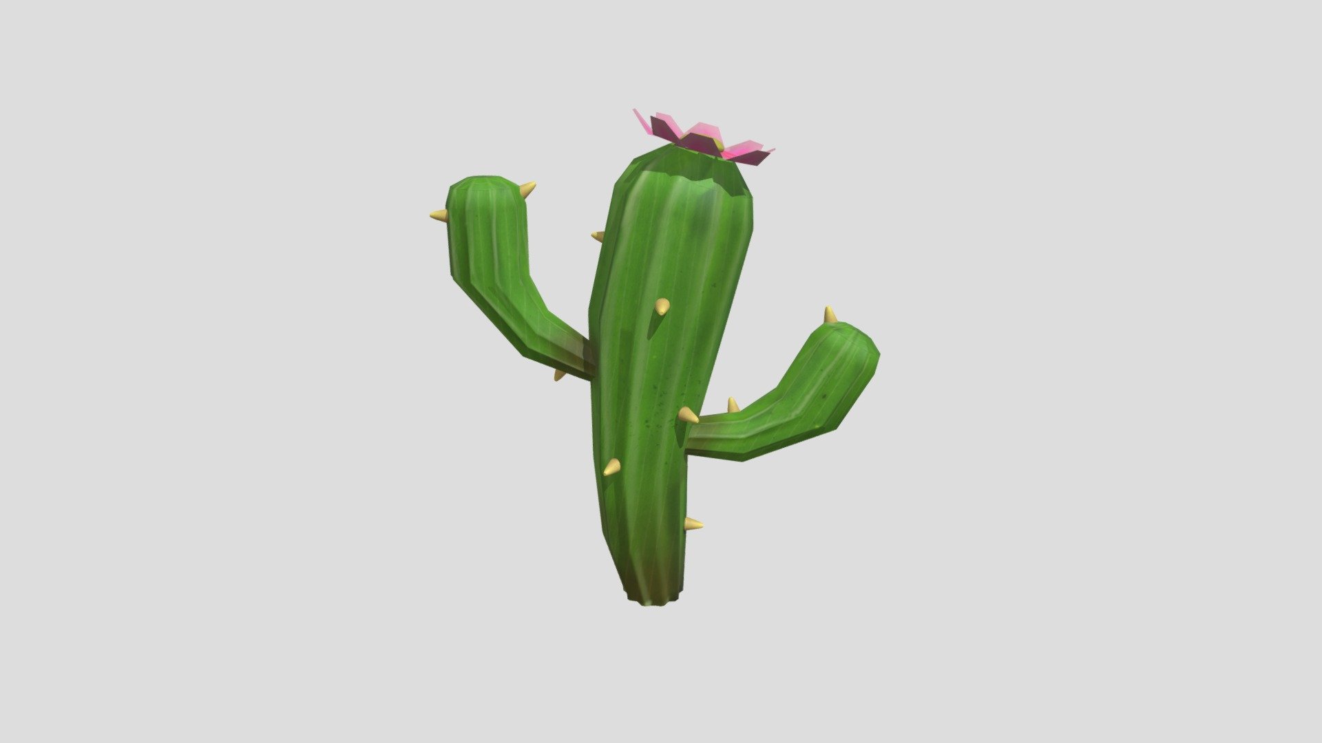 Cactus_model - 3D model by AnnelotvdLeden [1bc561c] - Sketchfab