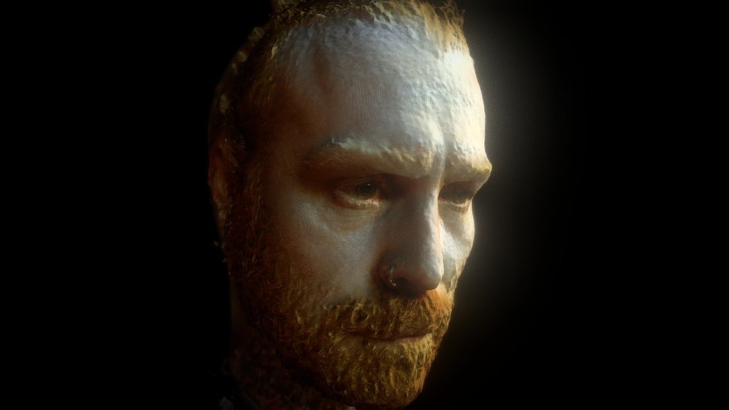 Joe Head raw photogrammetry scan - Download Free 3D model by Padraig ...