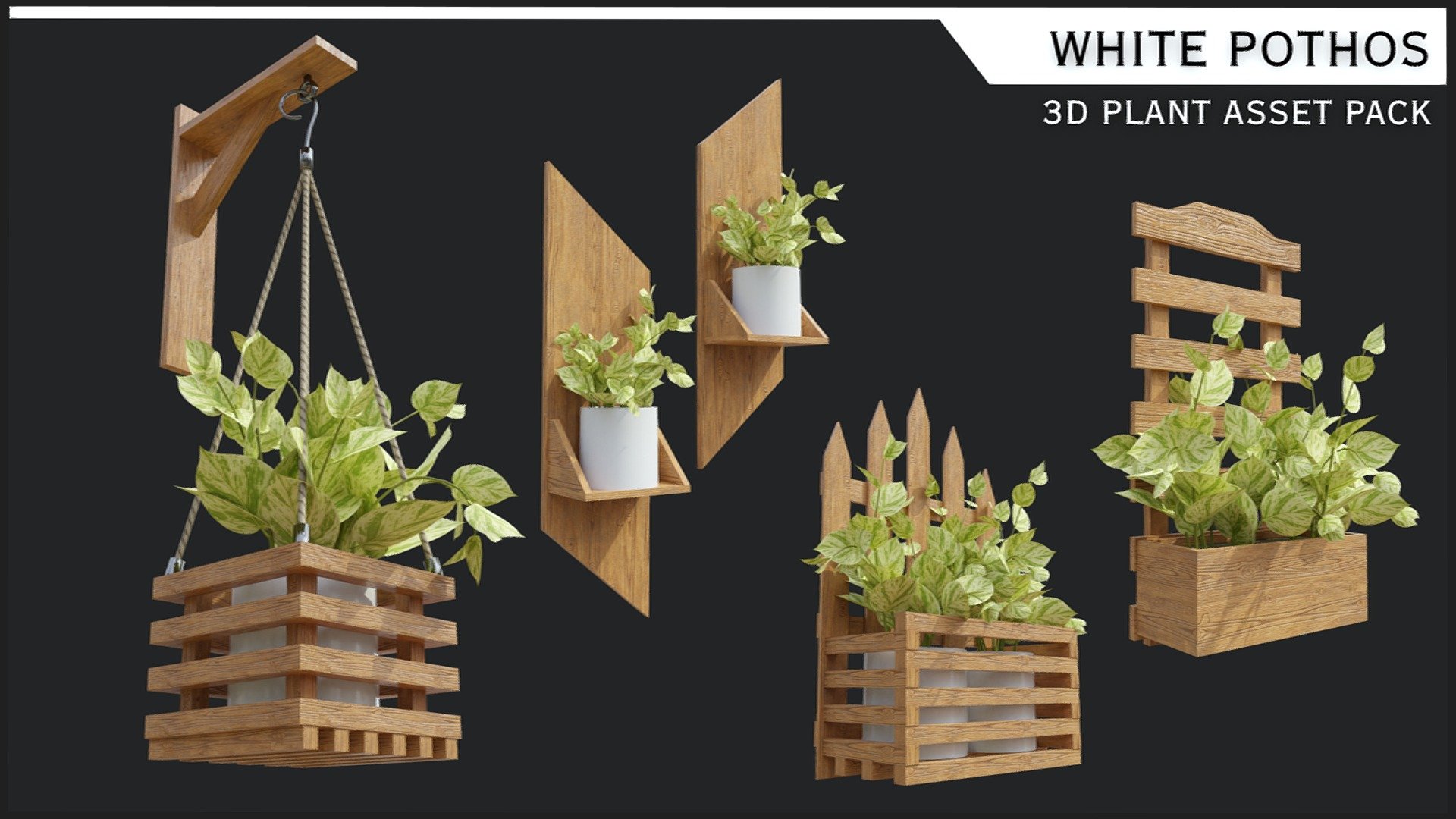 Indoor Plants with Pots: White Pothos - 3D model by Nicholas-3D ...