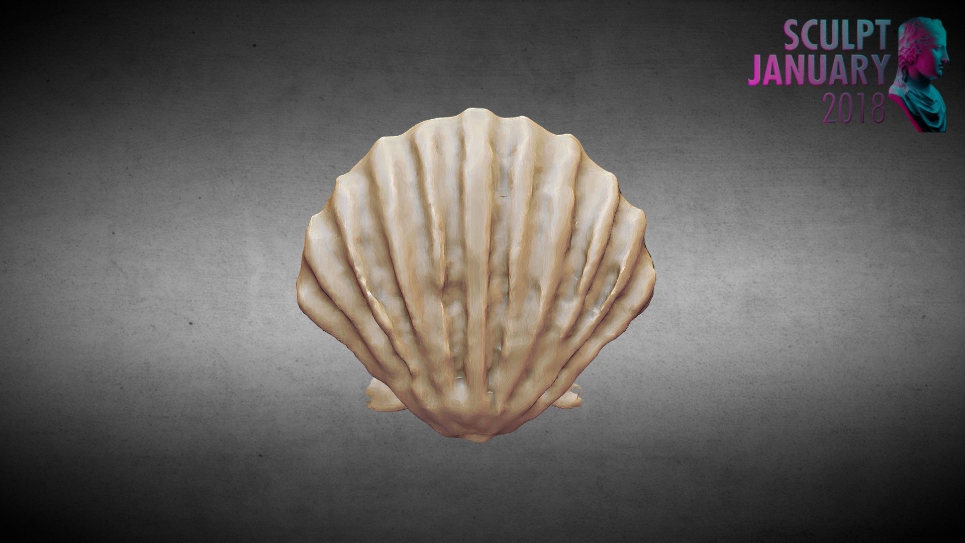 SJ18 #025 - Shell - Download Free 3D model by Cristian Brevis Acevedo ...