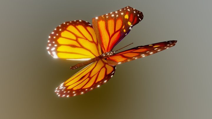 Mariposa 3D models - Sketchfab