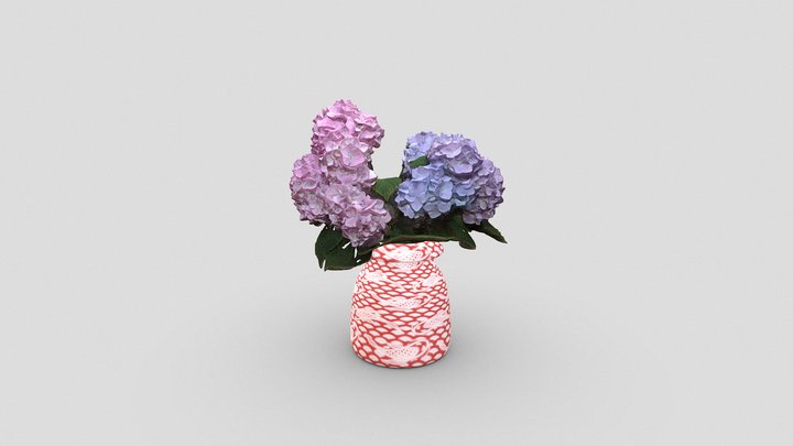 Hydrangea-macrophylla 3D models - Sketchfab