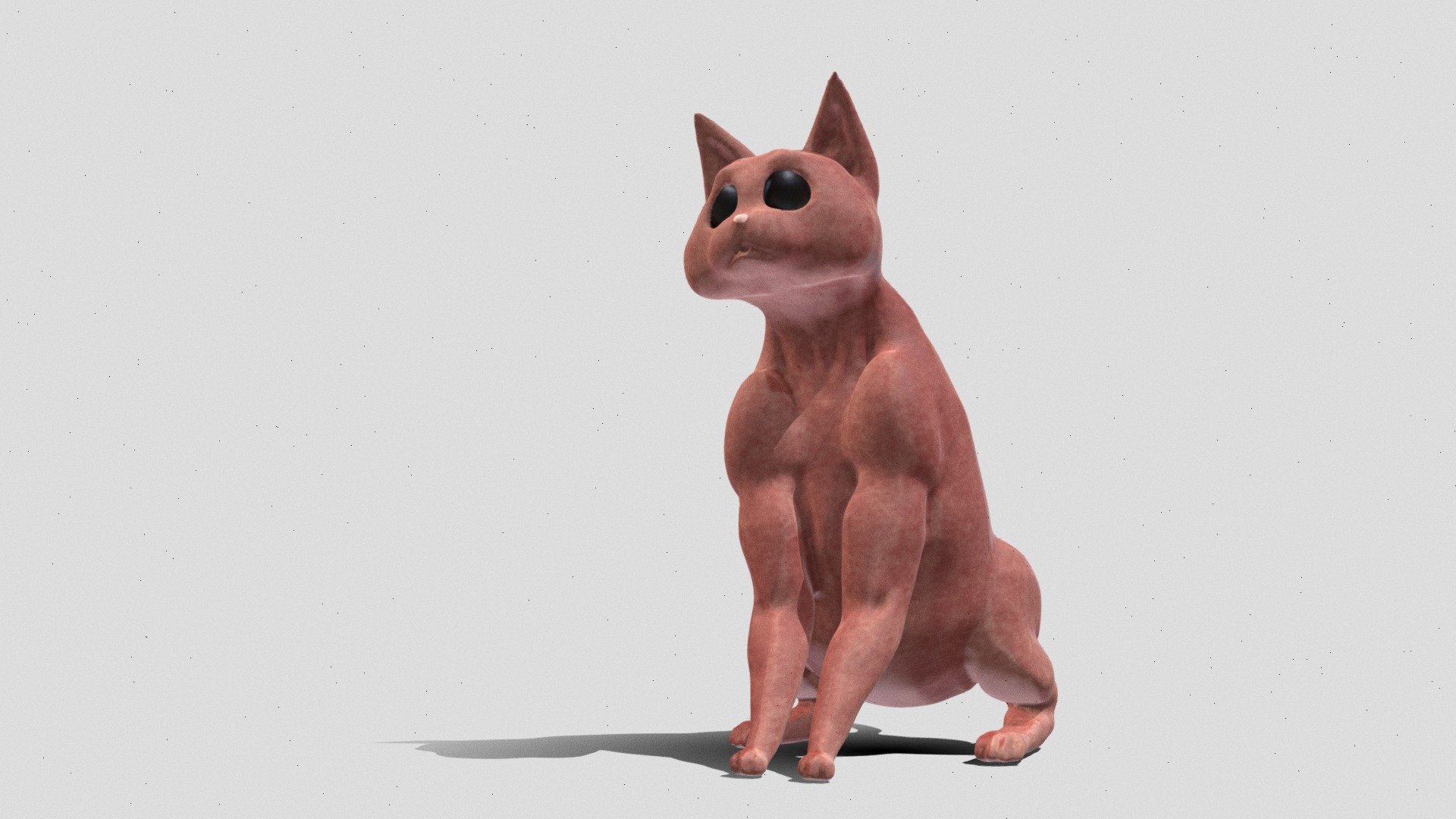 Normal Cat? - 3D model by RickyLeeKit [1be870f] - Sketchfab