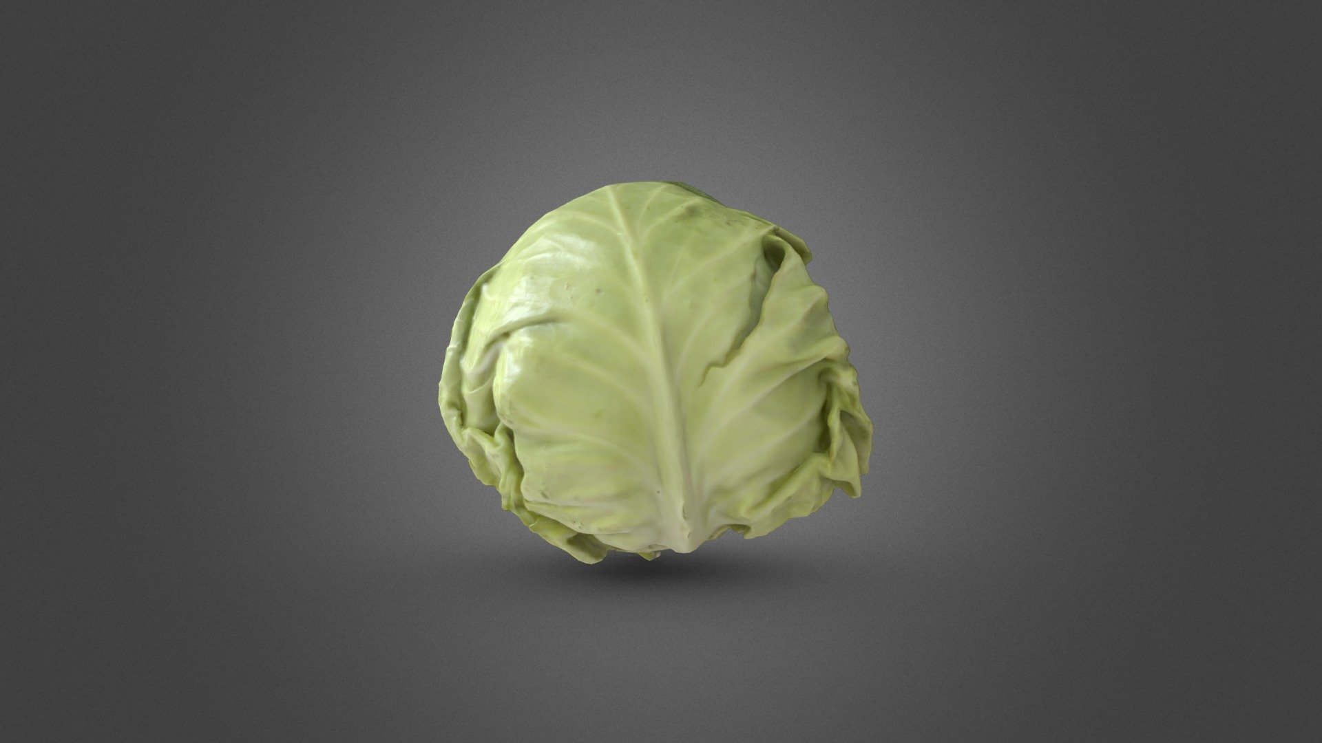 Cabbage - 3D model by Makovetkyi Volodymyr (@pbr-scans) [1be8c26 ...