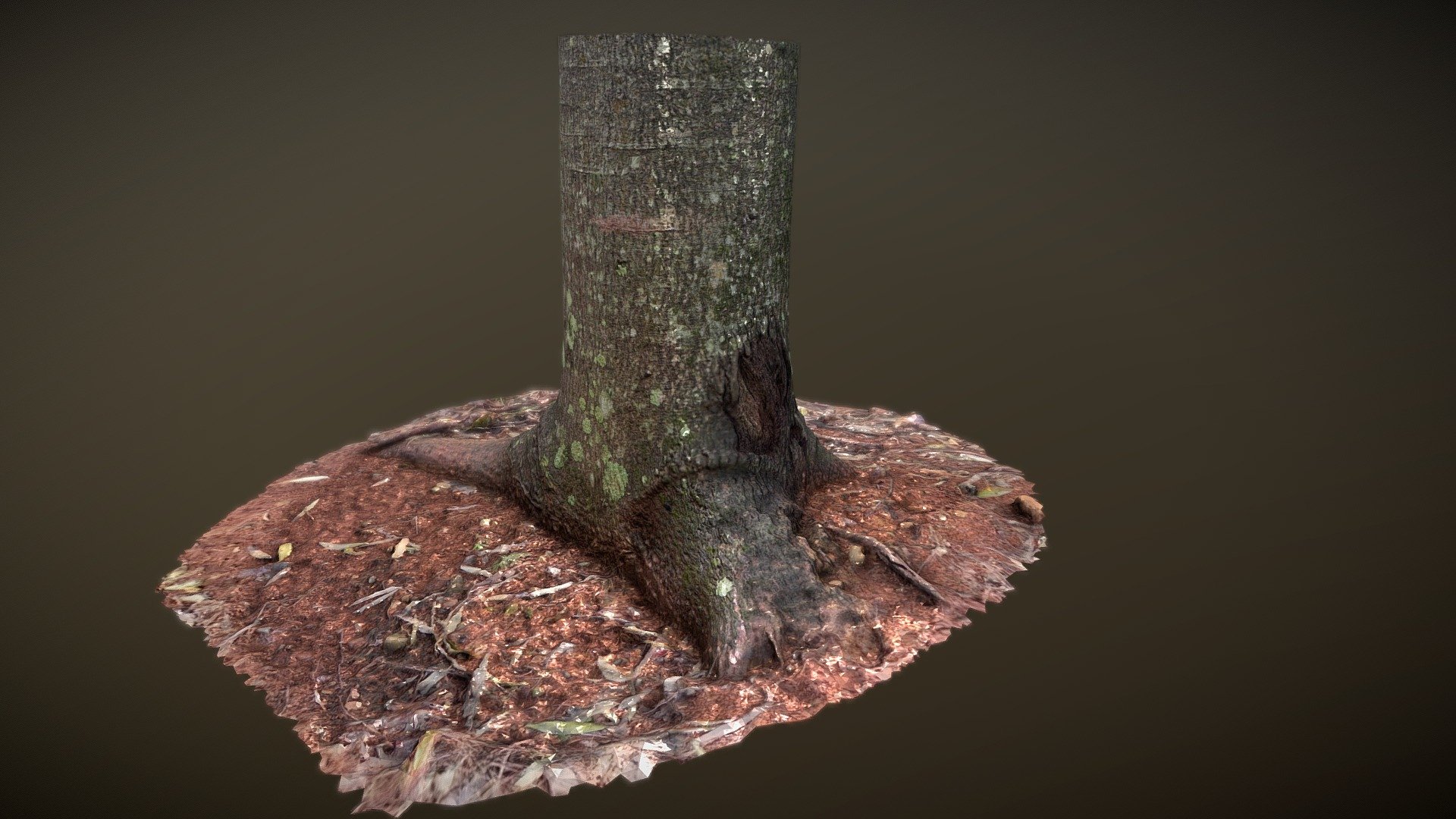 TreeTrunkBase_001 - 3D model by DevoStevo [1beb2da] - Sketchfab