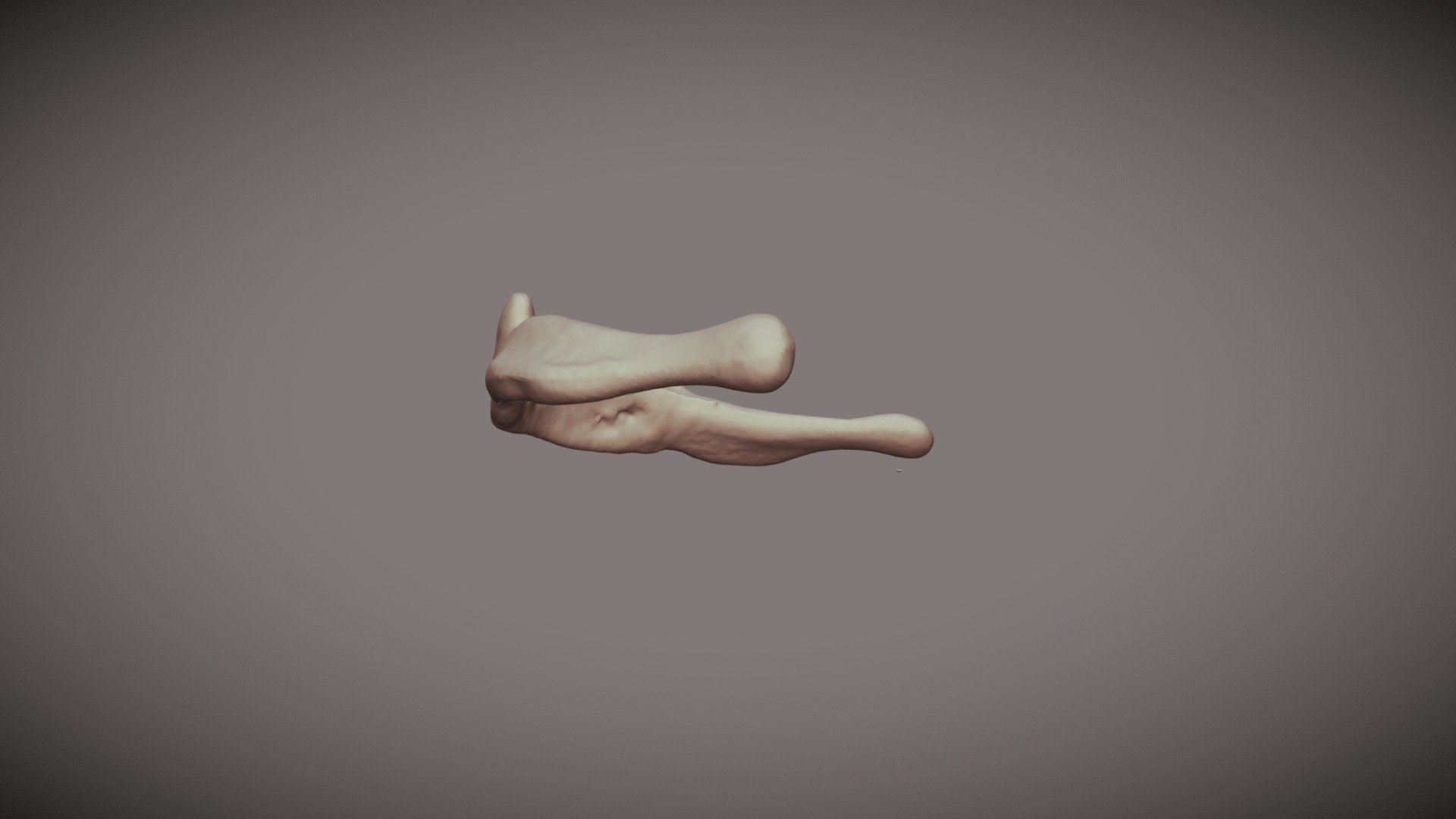 Hyoid bone - 3D model by OrJames Labs (@orjameslabs) [1bf4419] - Sketchfab