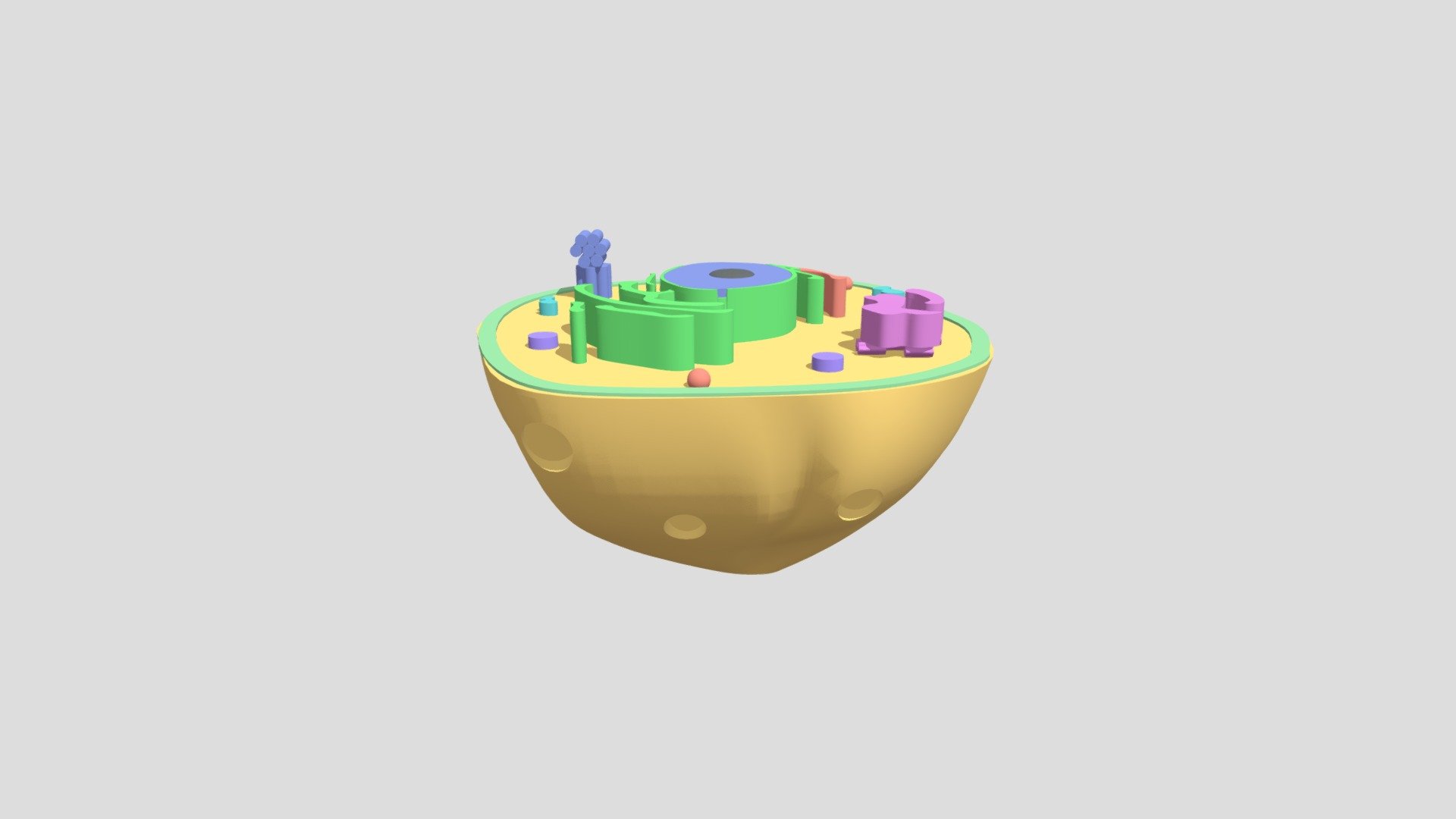 Cell - 3D model by sivabharathi.23ee [1bfd68a] - Sketchfab