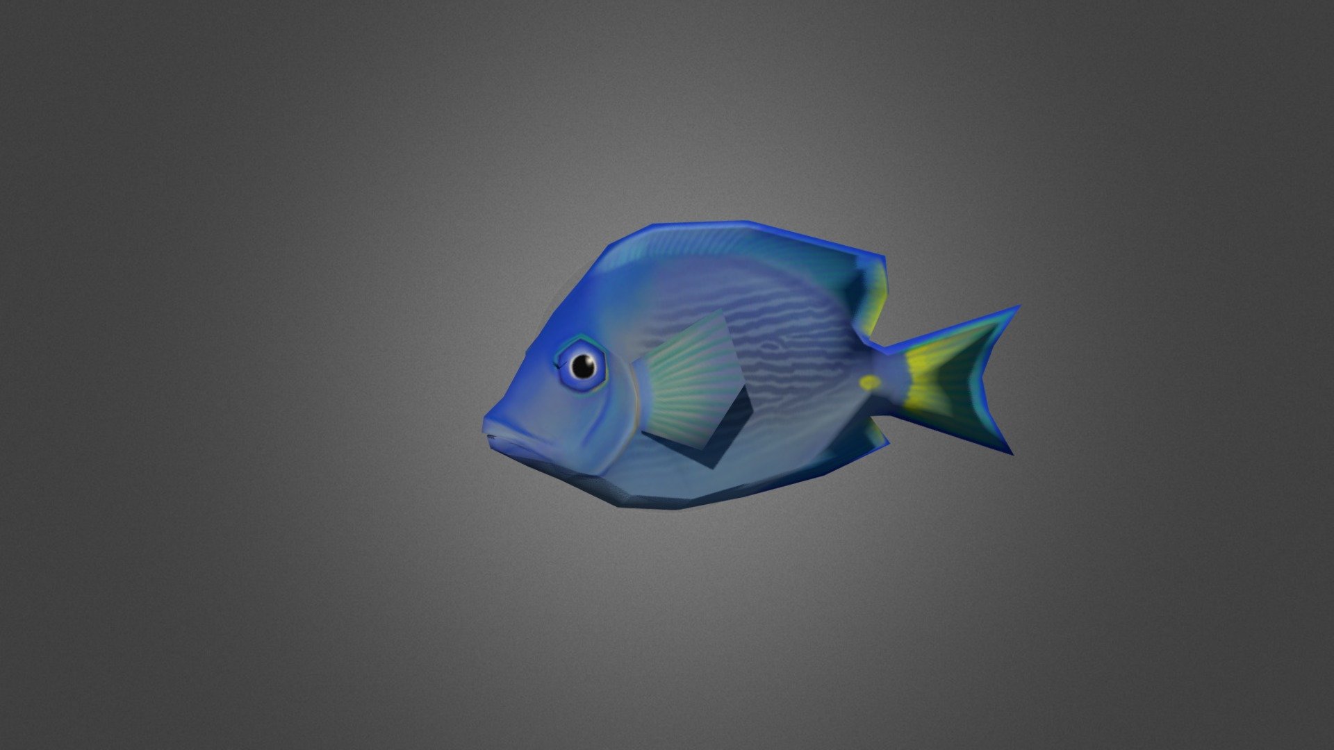 Blue Tang - 3D model by 3lbgames [1c009f5] - Sketchfab