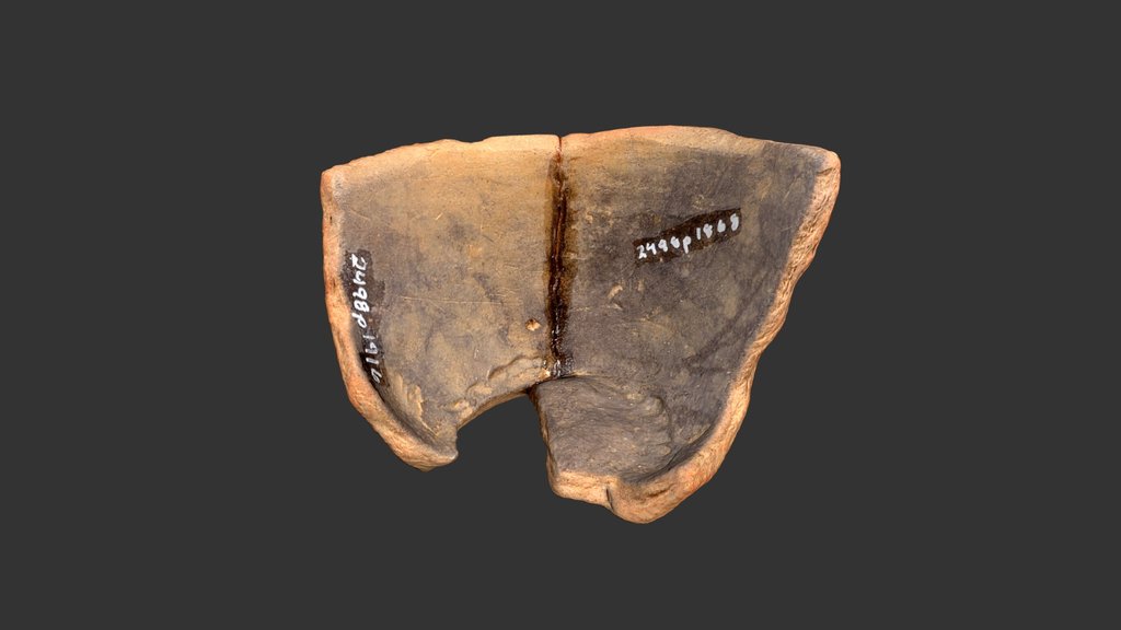 Catawba Pottery - A 3D model collection by RLA Archaeology (@rla ...