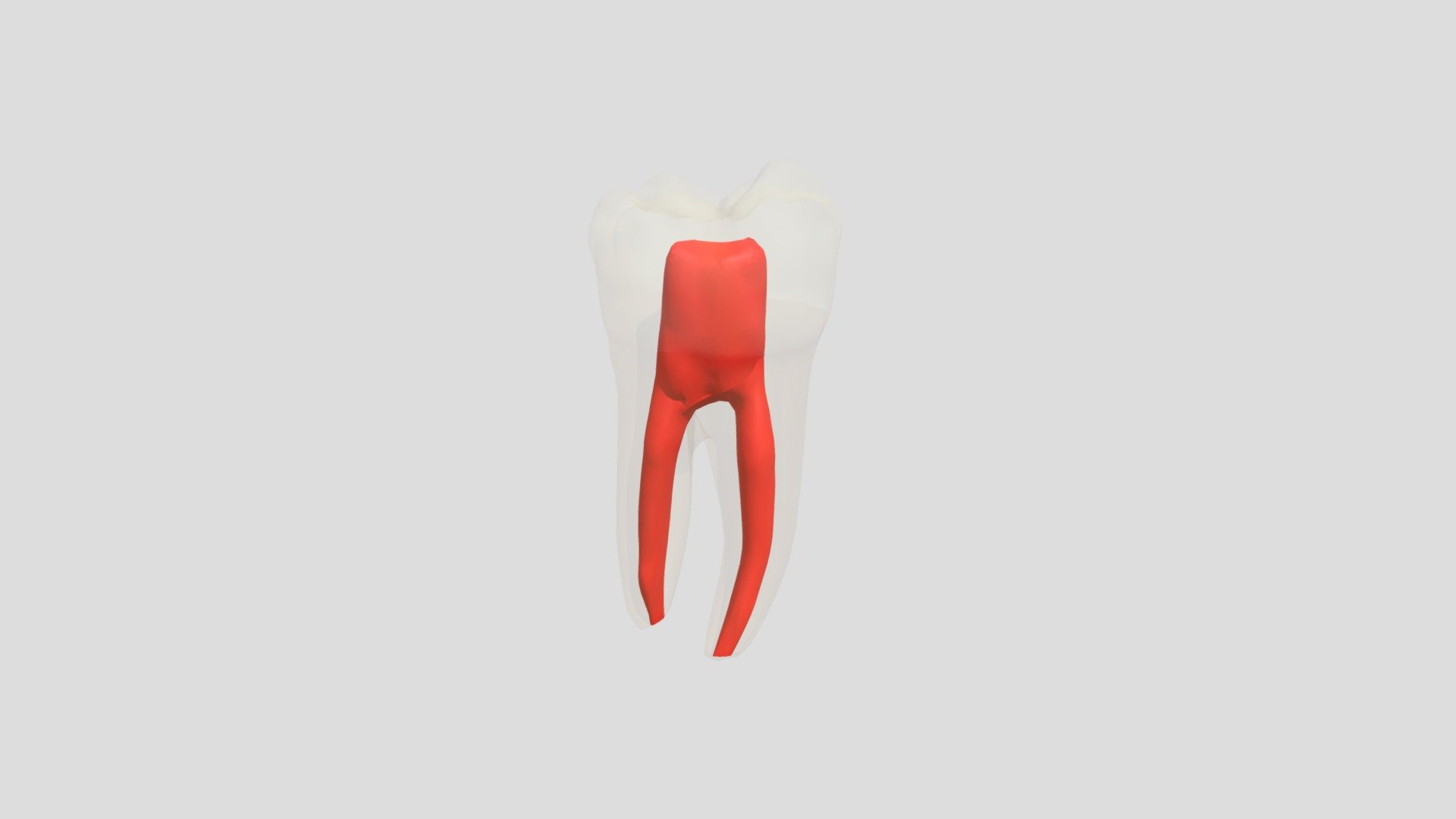 2021 - 47 - Endo - Download Free 3D model by AleyKsi [1c0c6ea] - Sketchfab