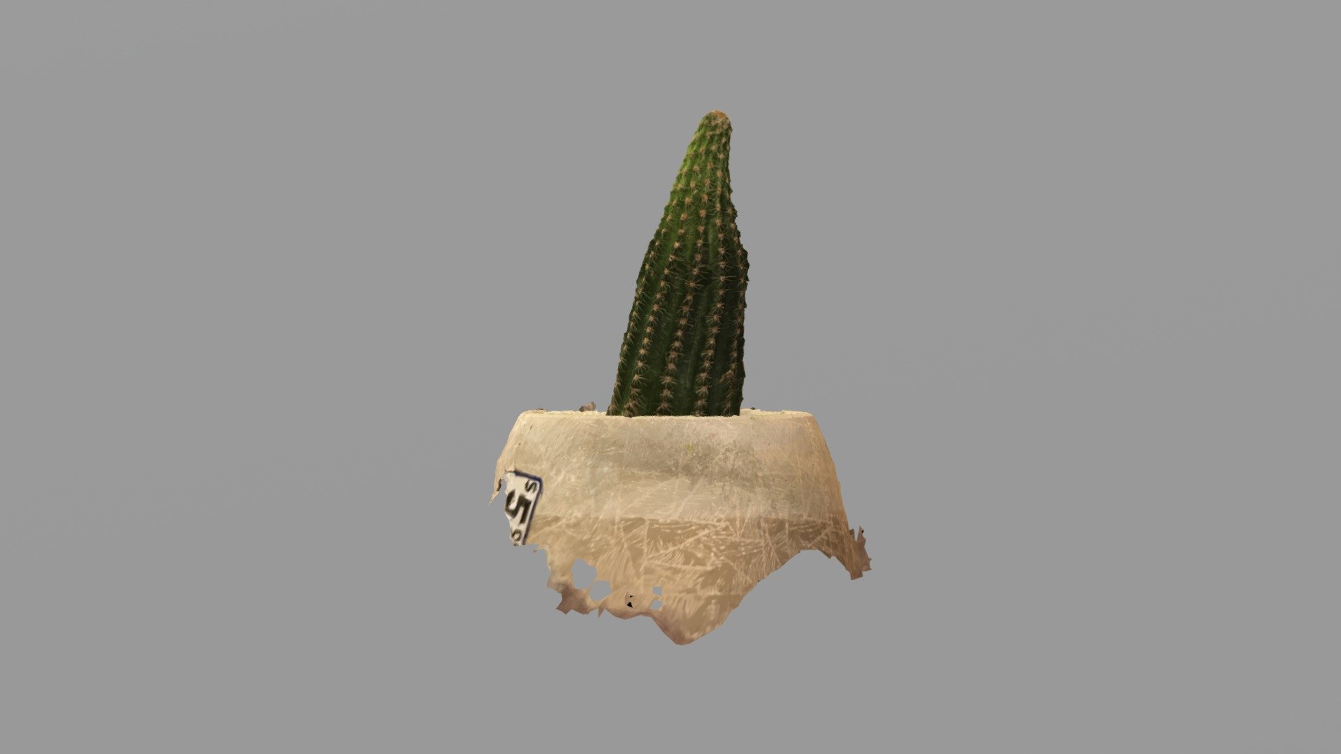 DSLR Cactus Photogrammetry - 3D model by acouto2 [1c0fddd] - Sketchfab
