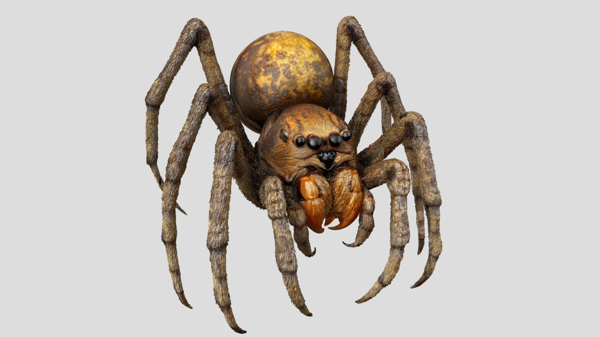 Crimson Fanglurker - spider - Download Free 3D model by Brian Trepanier (@CMBC) [1c15368 ...