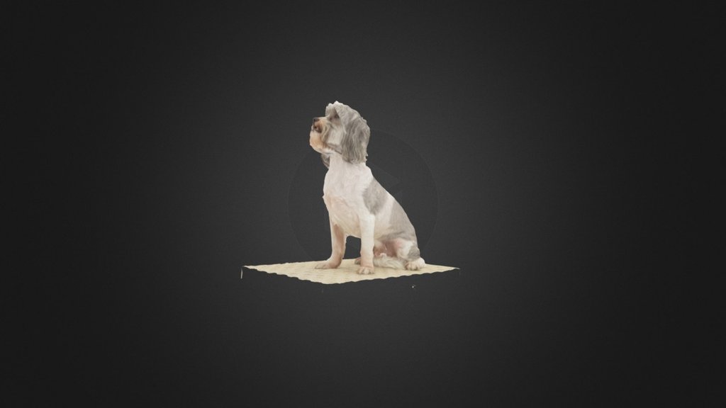 Chester Draft Scan - 3D model by Cool Dims (@cooldims) [1c154c1 ...