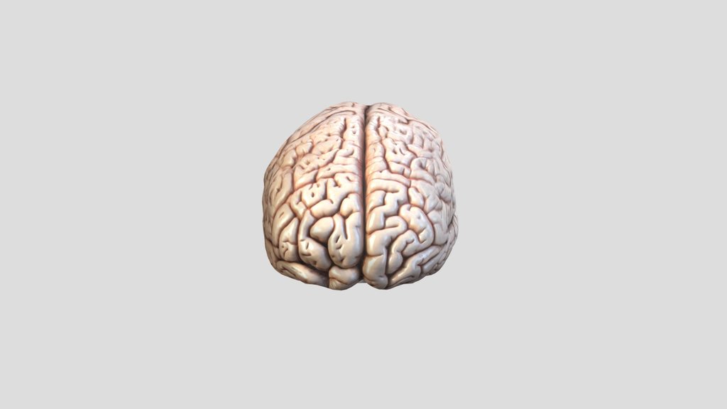 Zack D Films - A 3D model collection by KonjahmanGames - Sketchfab