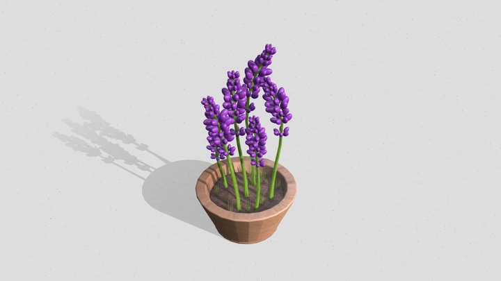 Lavender-flowers 3D models - Sketchfab