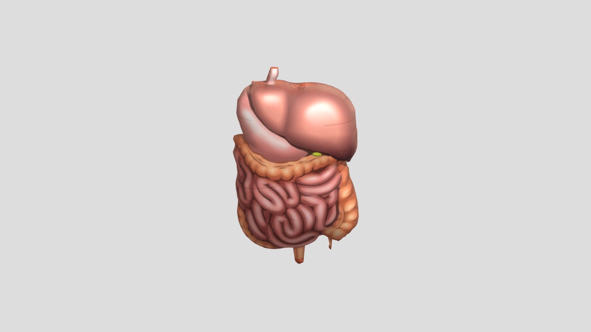 ANA NURAENI SUMARNA 5 - Download Free 3D model by ana.nuraeni90 ...