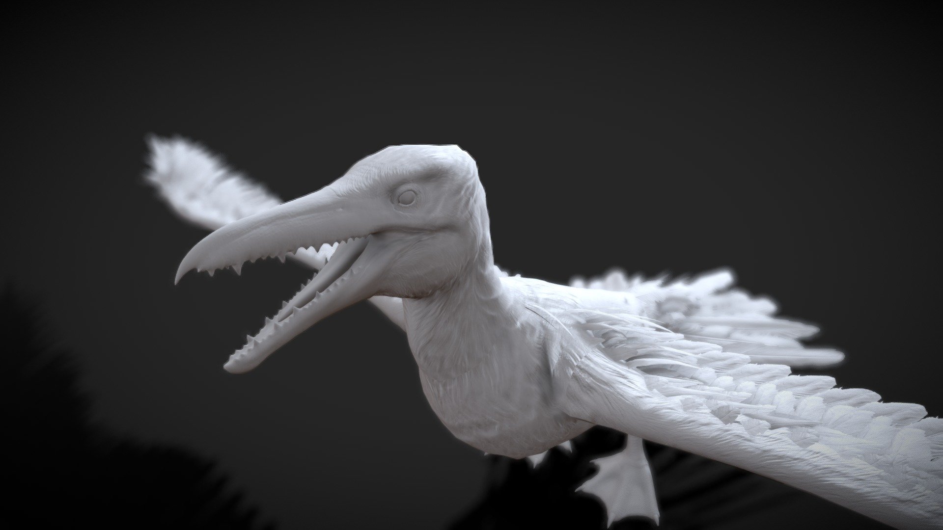 Palegornis - Buy Royalty Free 3D model by robertfabiani [1c38f06 ...