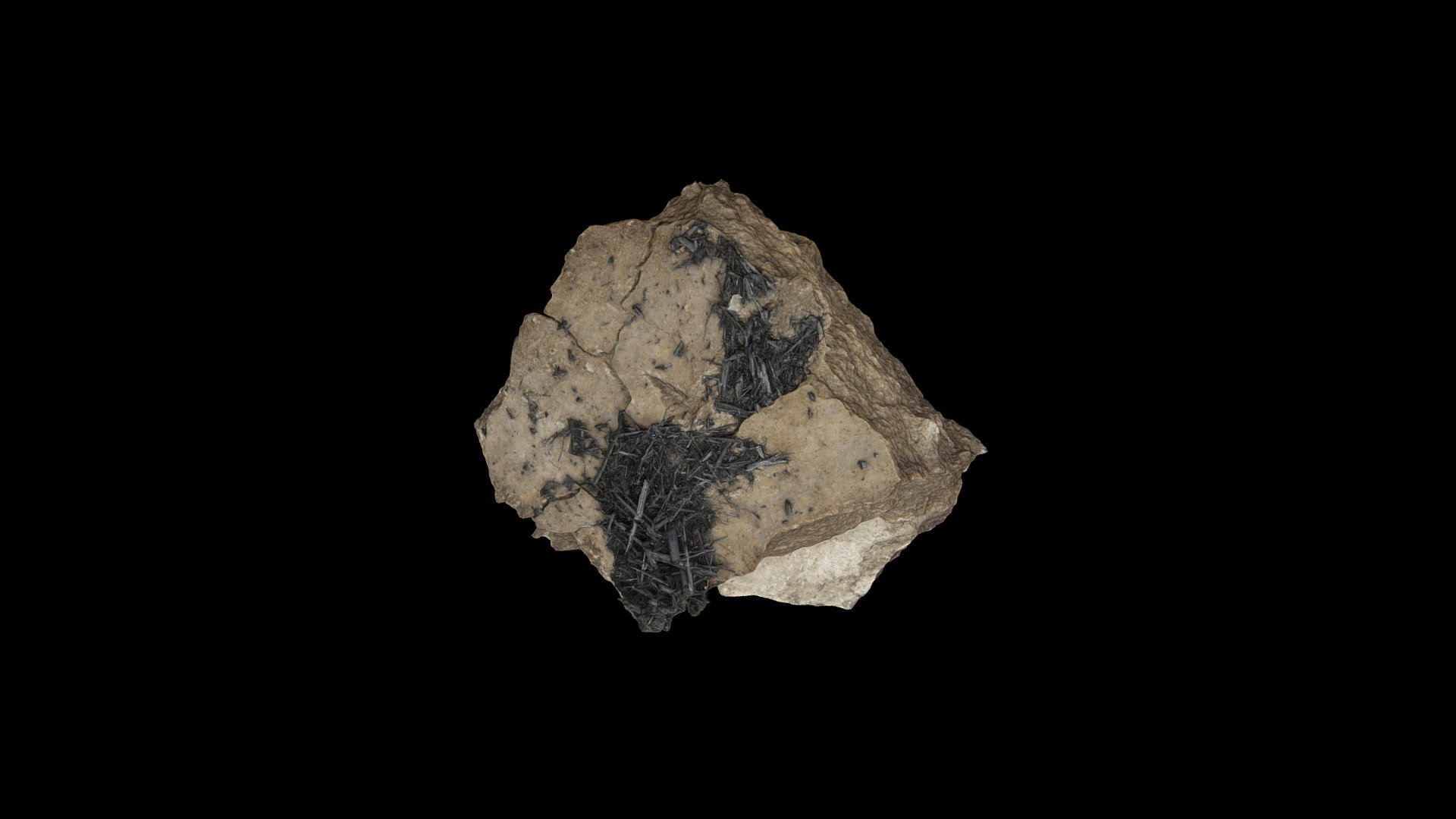 ANTIMONIT - Download Free 3D model by downloadix [1c3b2b5] - Sketchfab