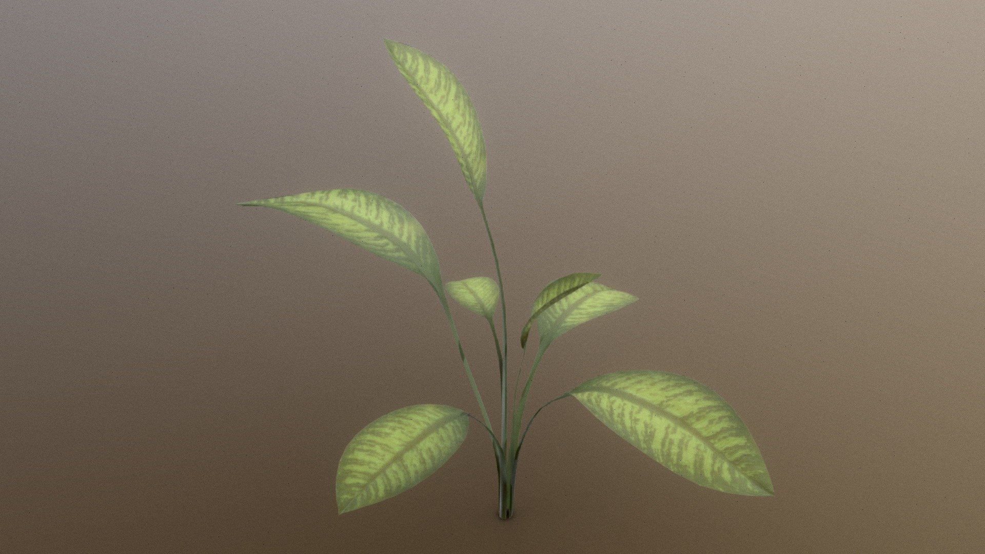 plant_simple.002 - Download Free 3D model by c.gleison [1c401b1 ...