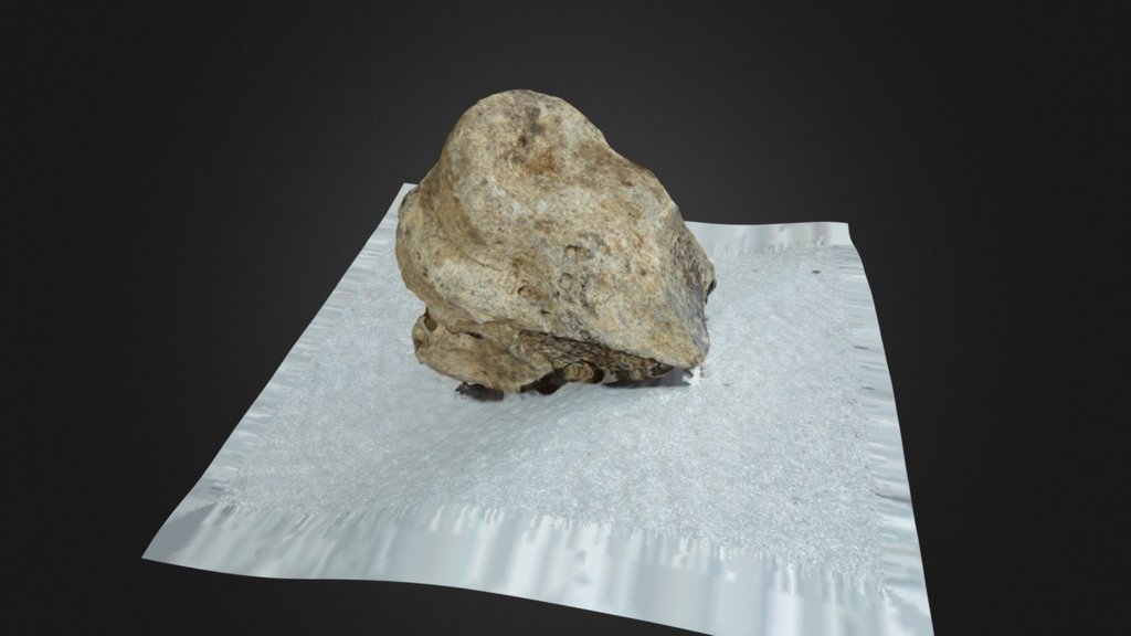 Mesh Bone-cloud - 3D model by Iosu Etxezarraga (@iosueo) [1c485ec ...